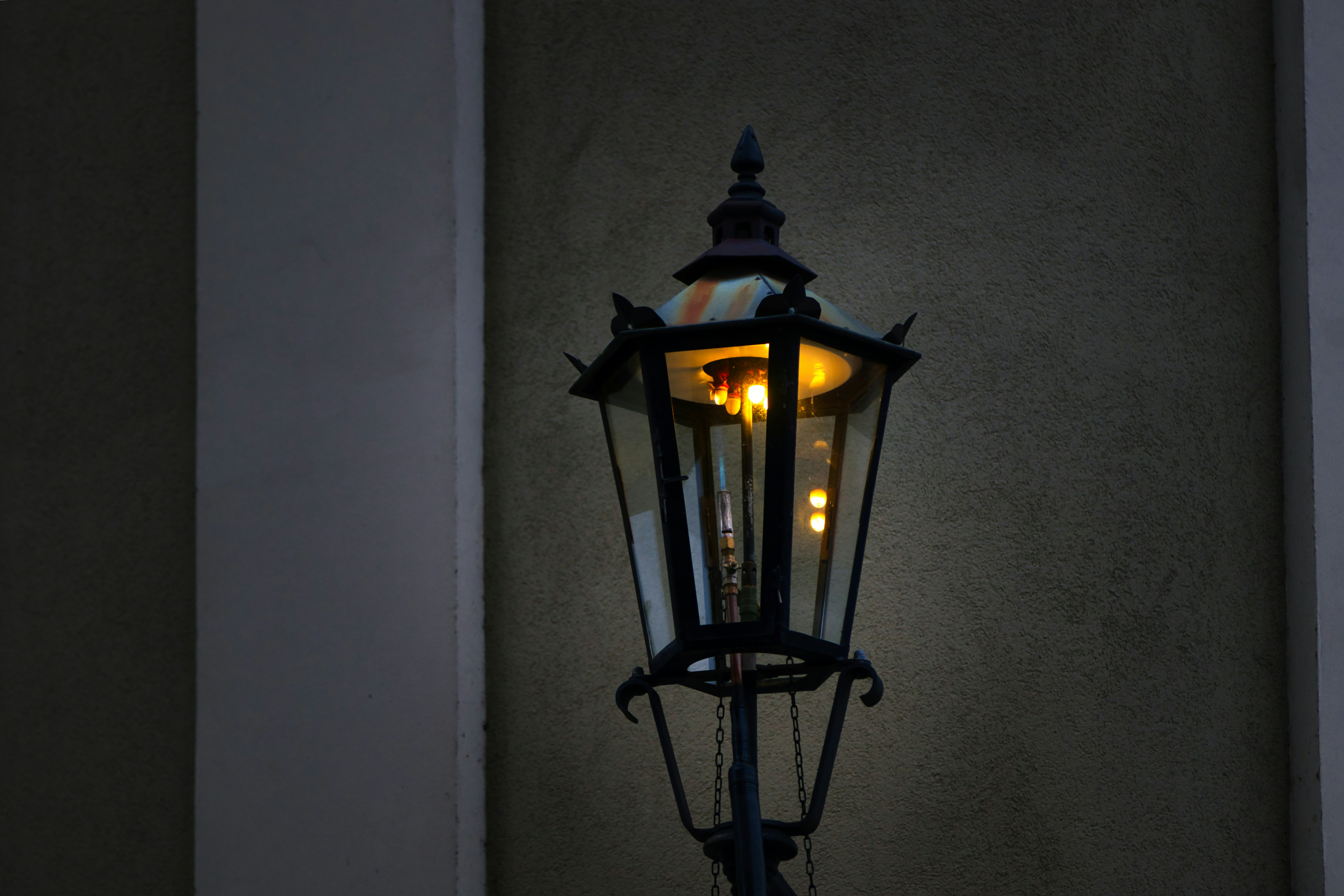 Photo by 𝕡𝕒𝕨𝕤 𝕒𝕟𝕕 𝕡𝕣𝕚𝕟𝕥𝕤 with Canon EOS 250D