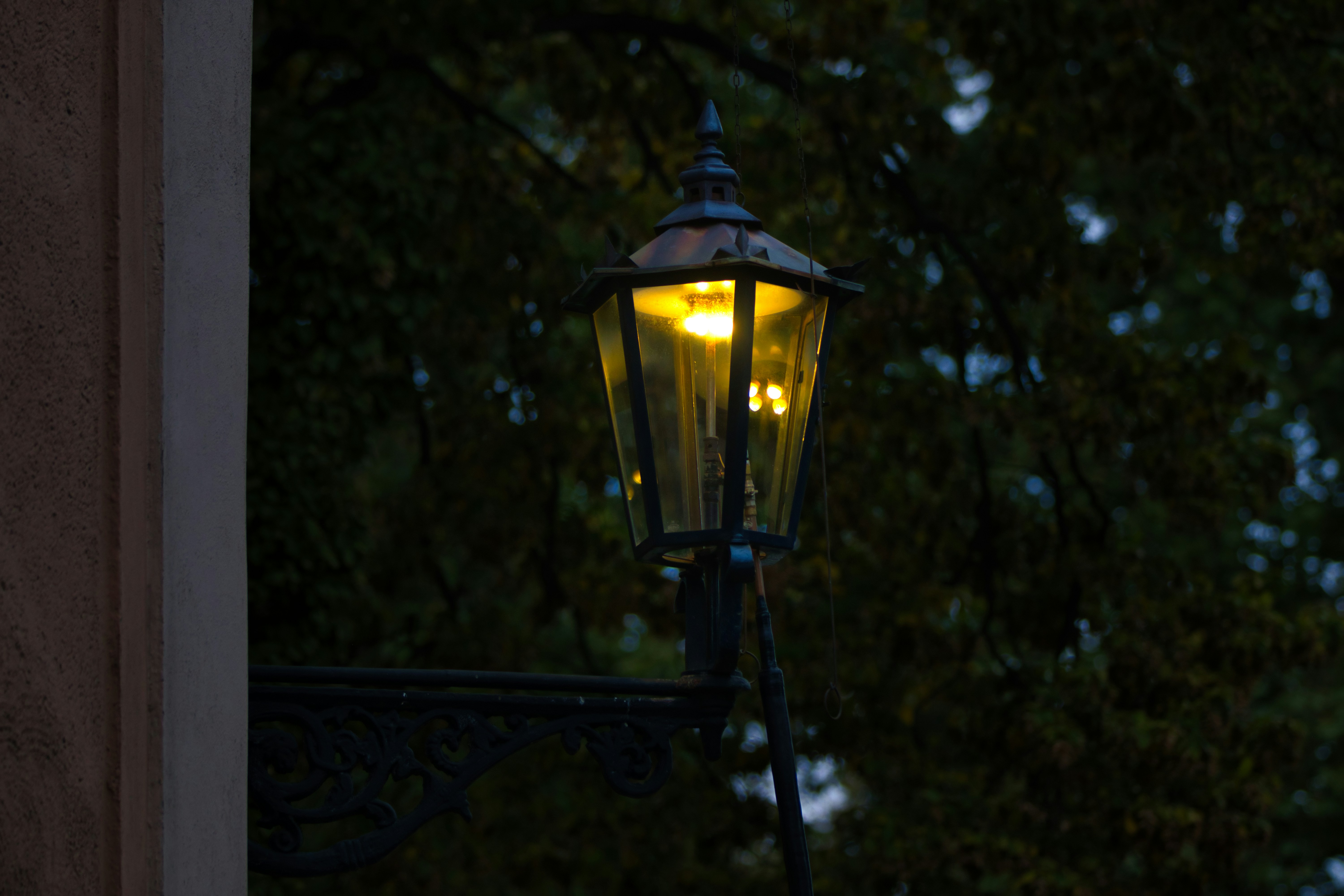 Photo by 𝕡𝕒𝕨𝕤 𝕒𝕟𝕕 𝕡𝕣𝕚𝕟𝕥𝕤 with Canon EOS 250D