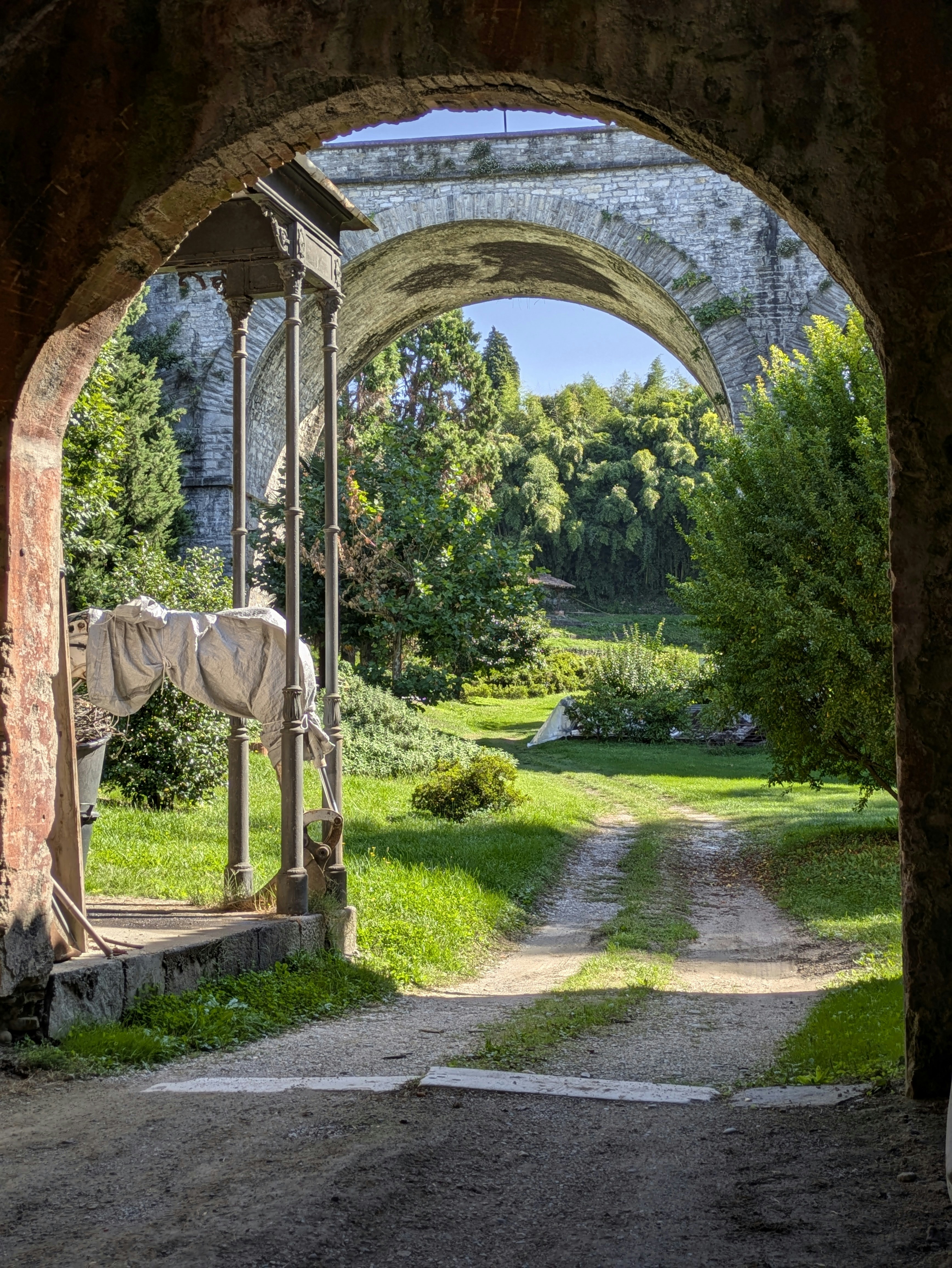 Photo by Andrew Abela with Google Pixel 8a