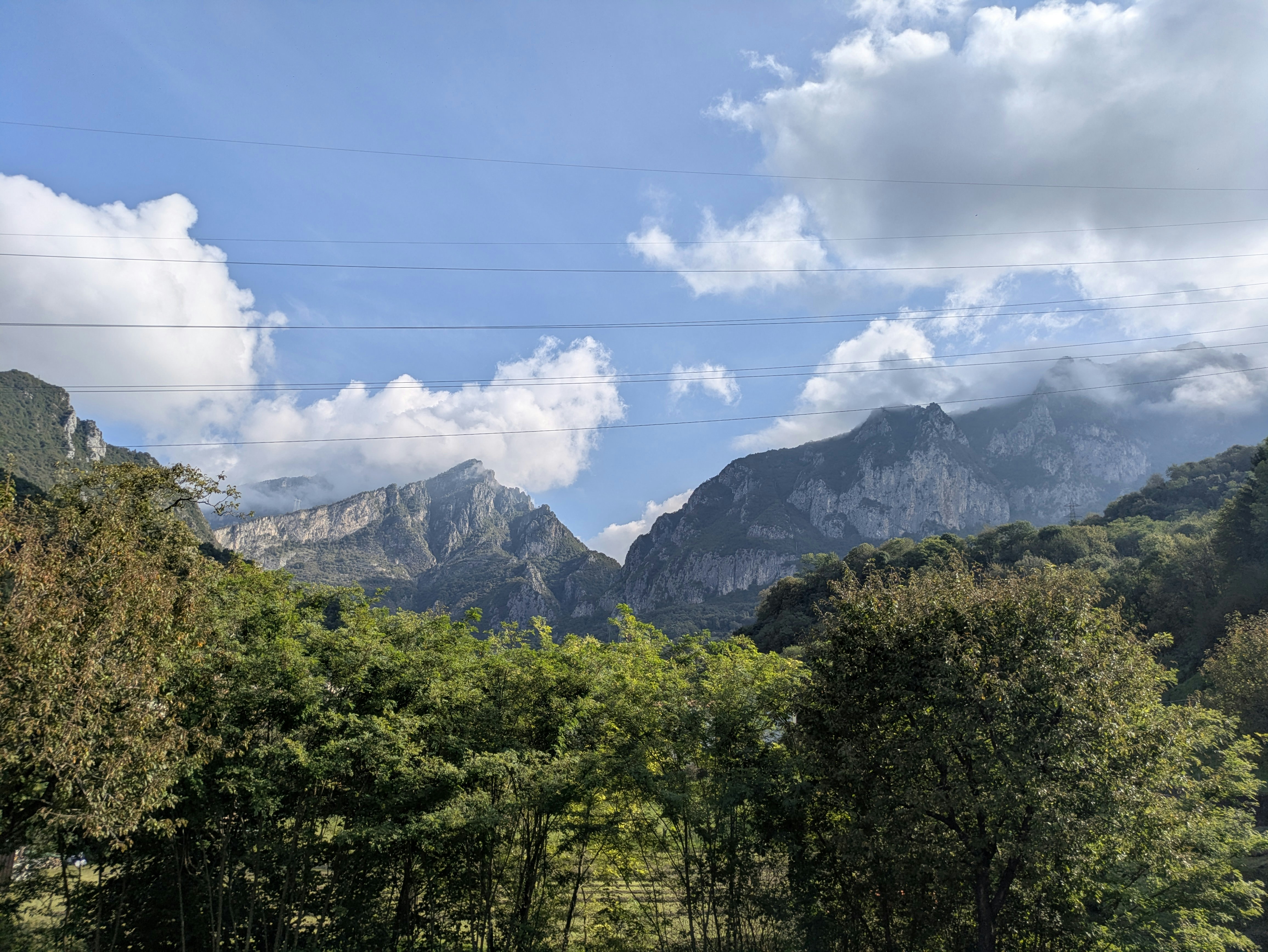 Lush green trees in front of dramatic mountain peaks.