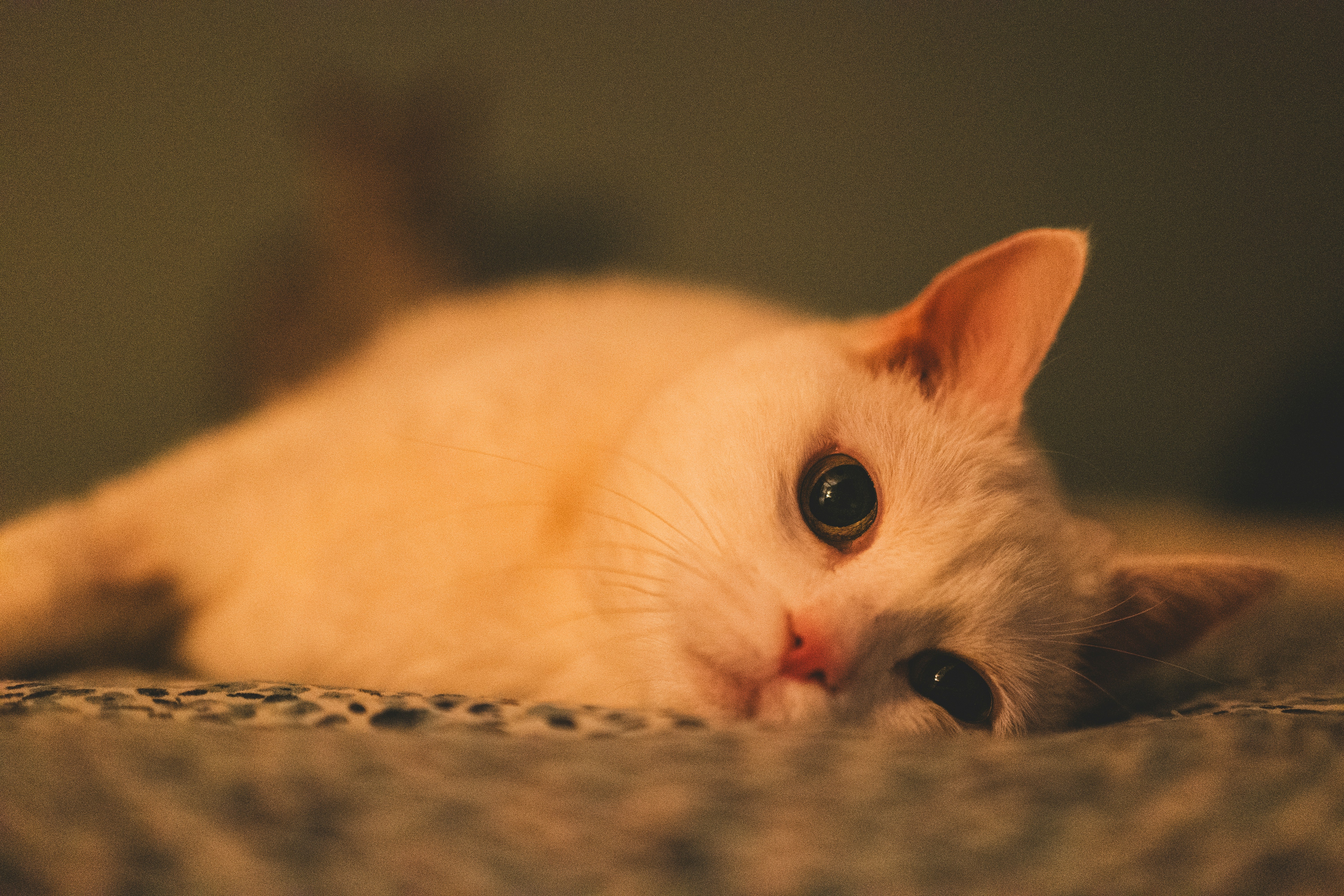 Sample photo from Panasonic Lumix S5D