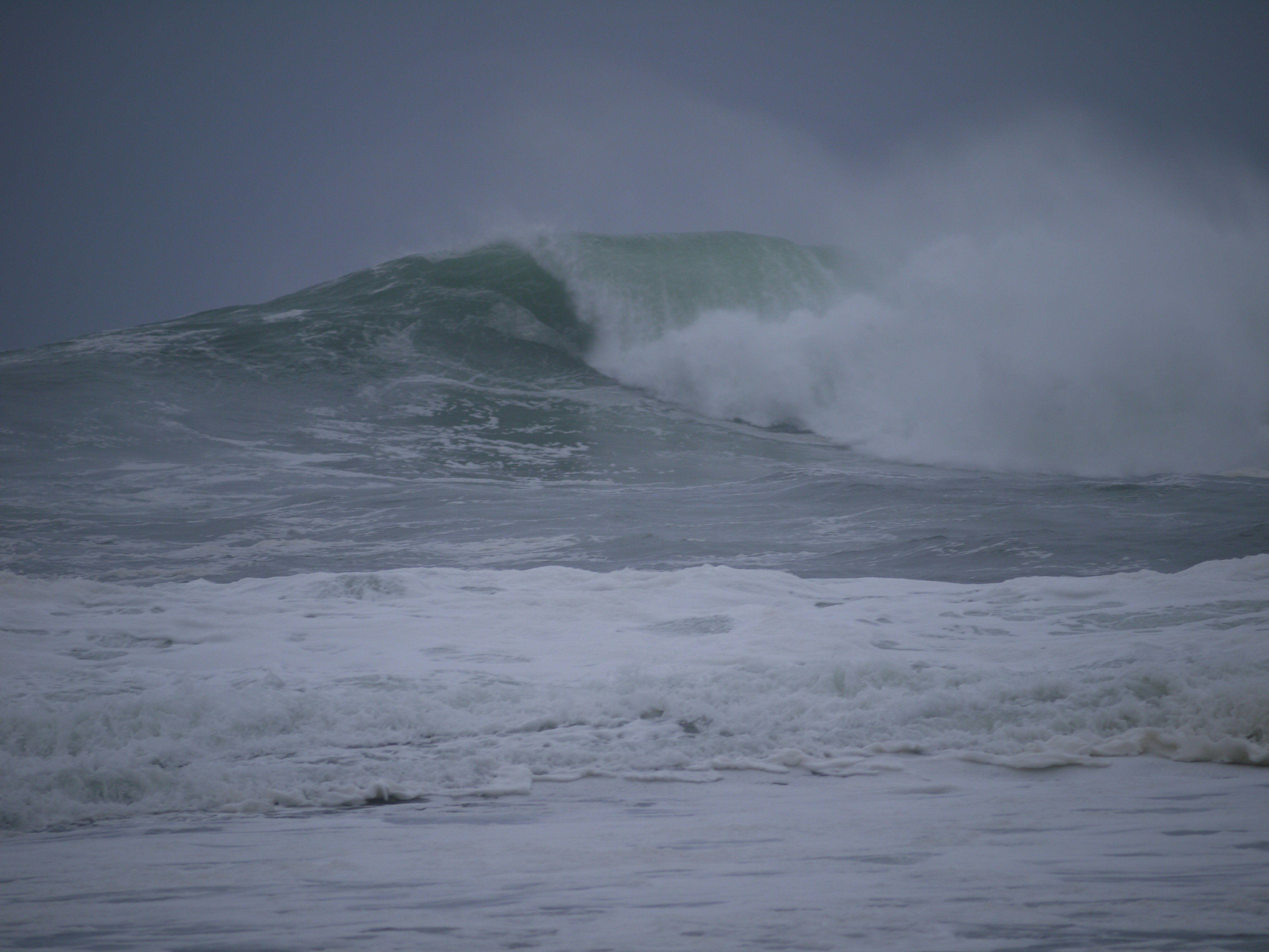 Photo by Fiona Dodd with Panasonic Lumix G10