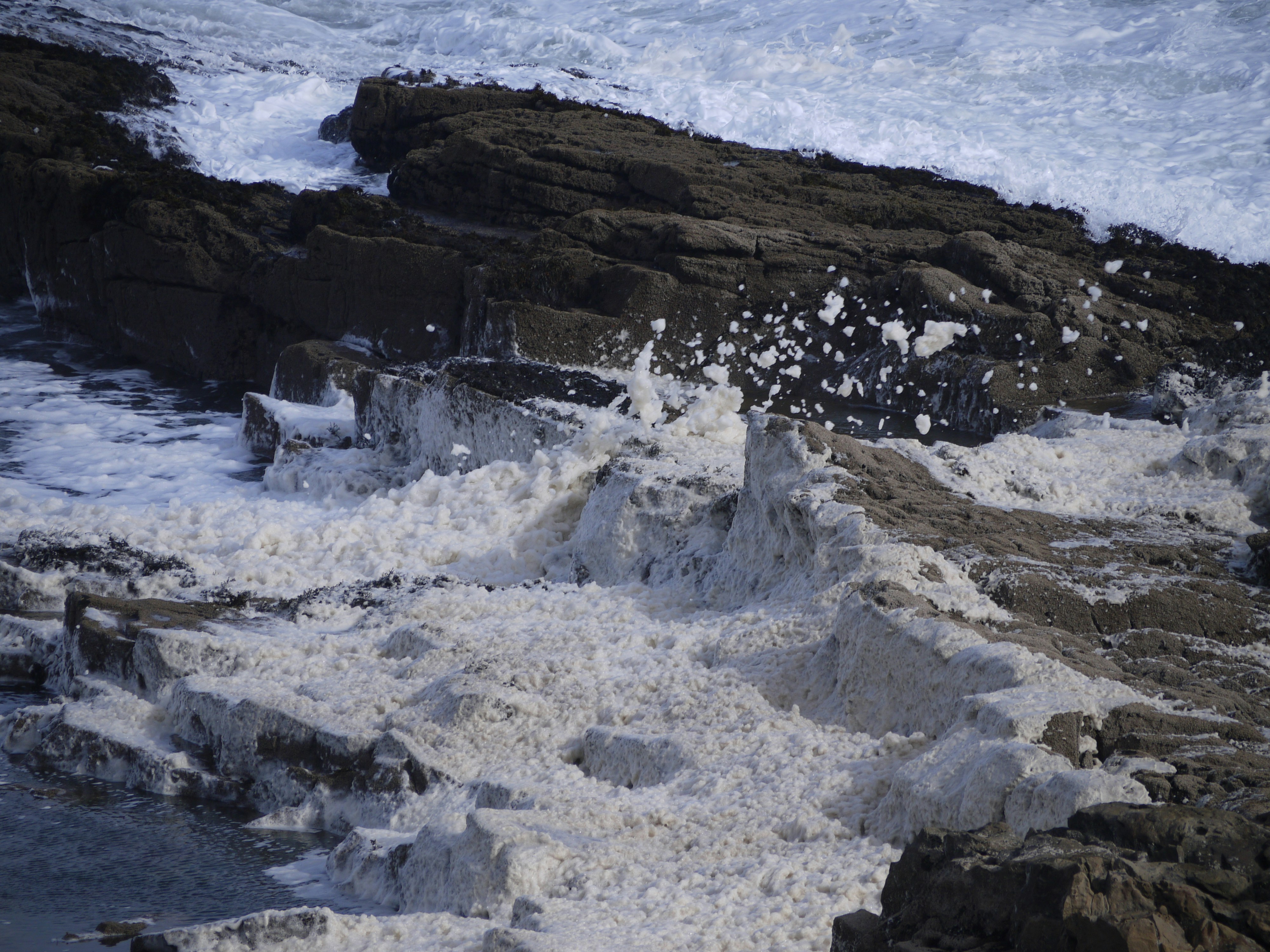 Foam-Chiseled Breakers over Rugged Coastal Rocks