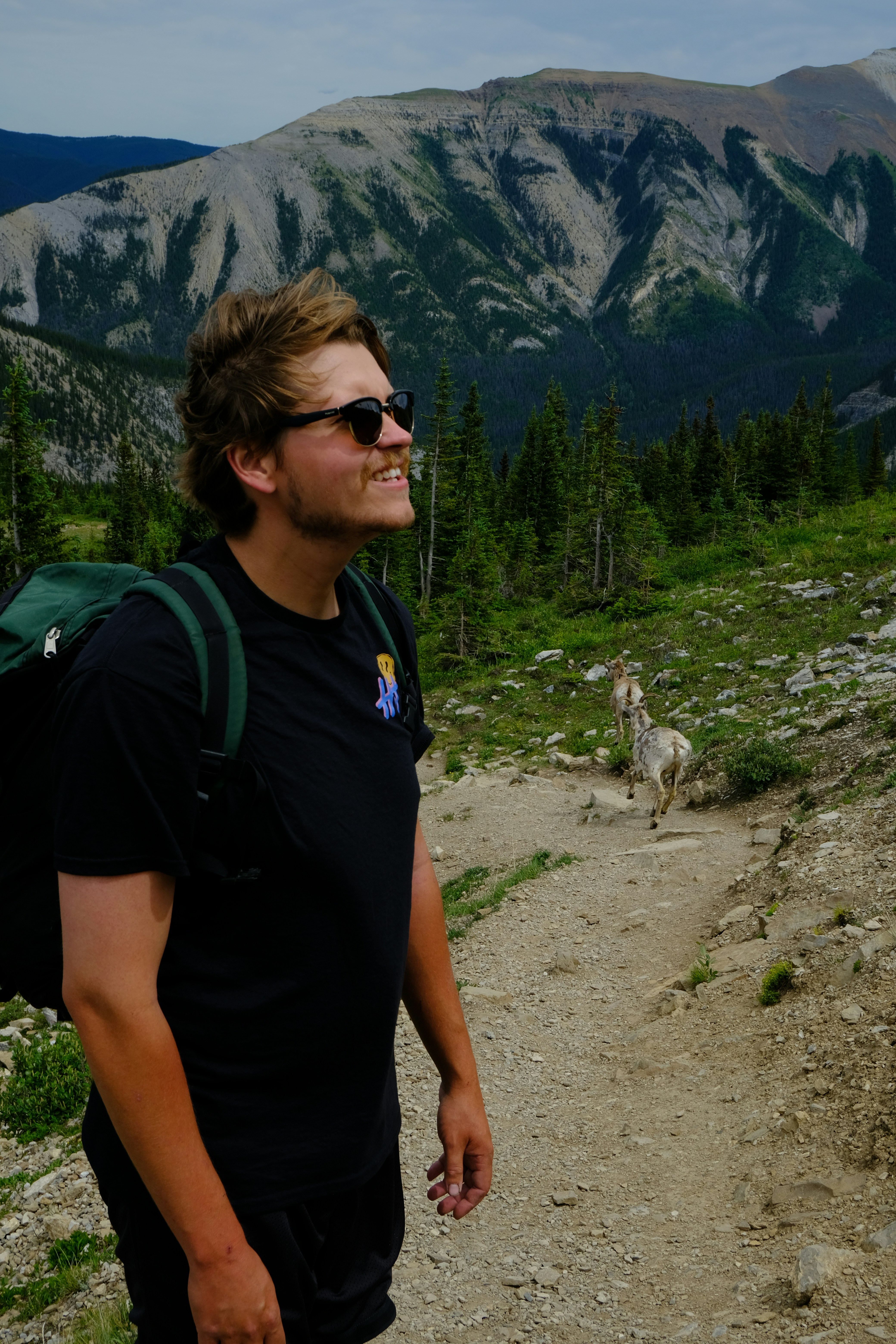Alpine Encounter: A Sunglasses-Clad Hiker Pauses on a Rocky Trail as a Mountain Goat Rounds the Bend