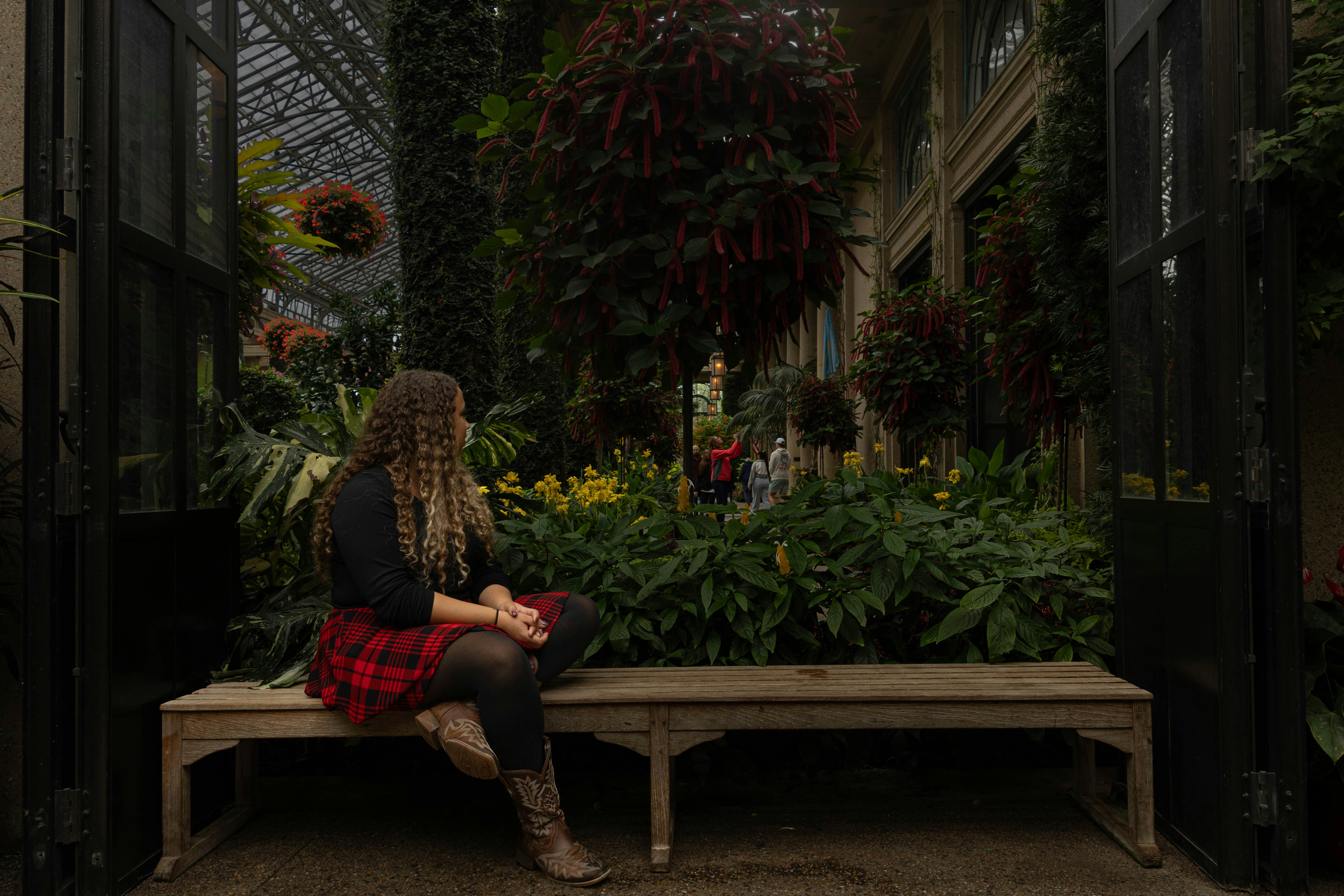 Whispers of Nature: A Serene Moment in the Greenhouse