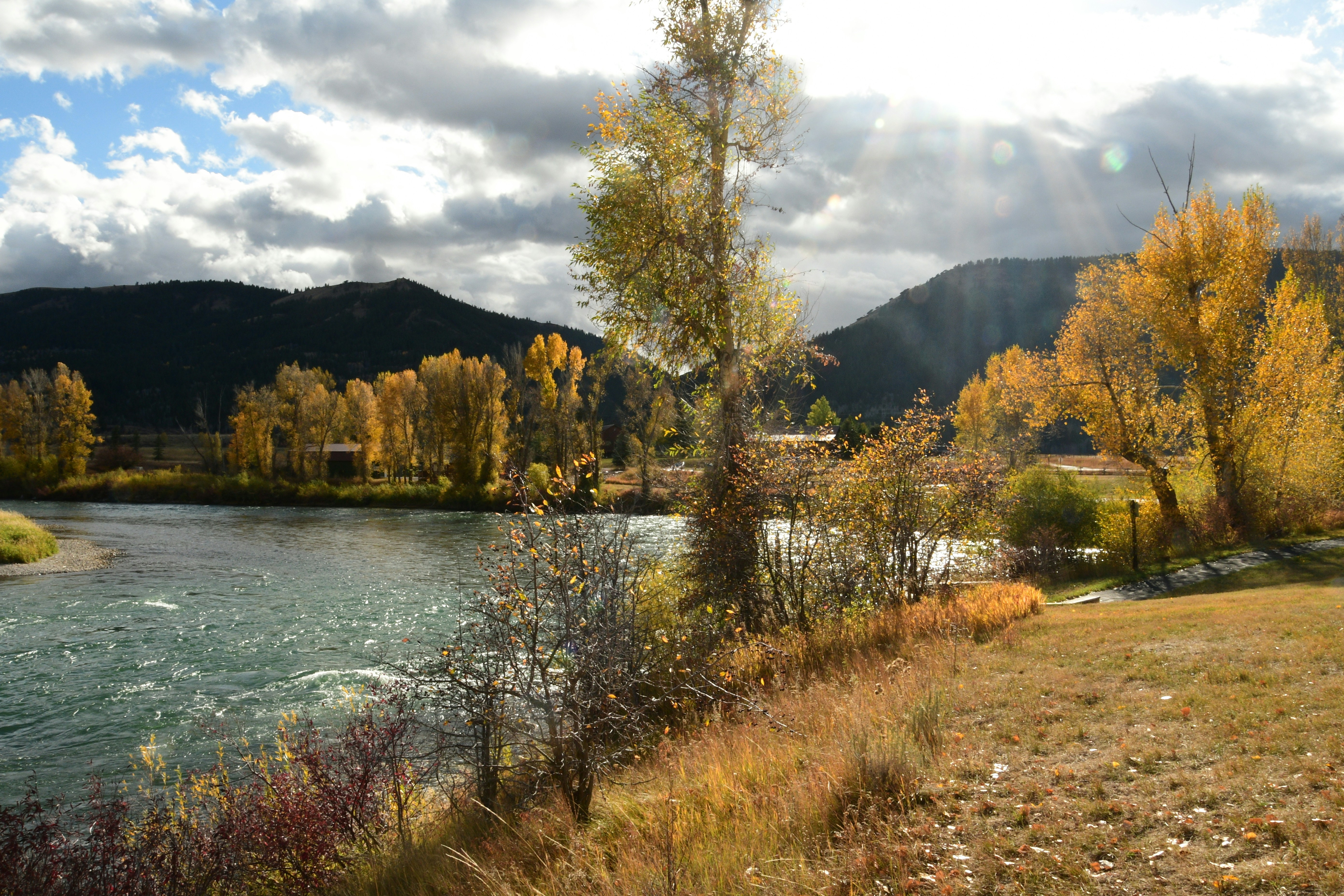 Sunlit Autumn Riverbank: Gilded Trees Framing a Mountain Horizon
