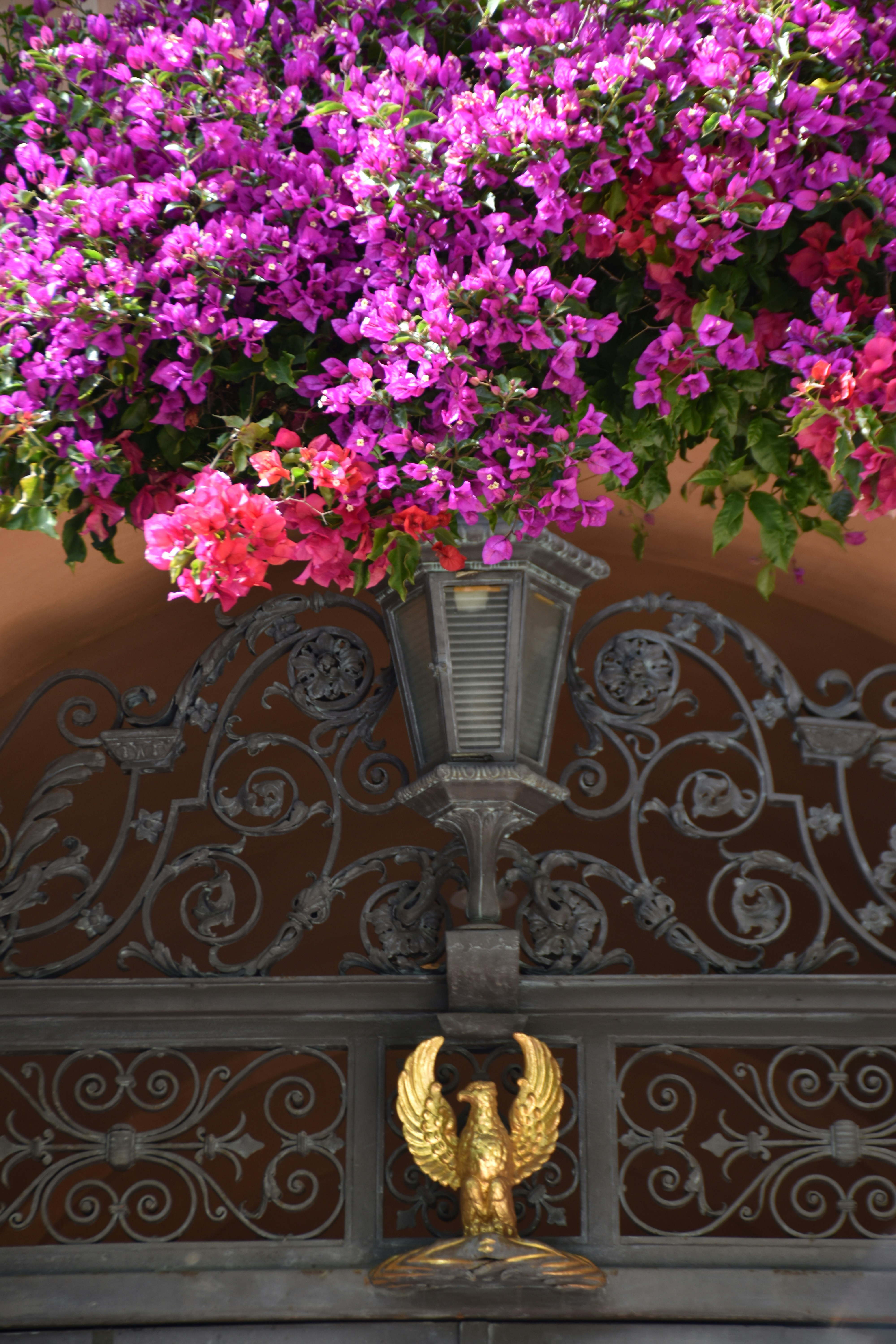 Great flowers on one of the great houses of Broadway, San Francsico | Ornate gate with golden eagle and purple flowers