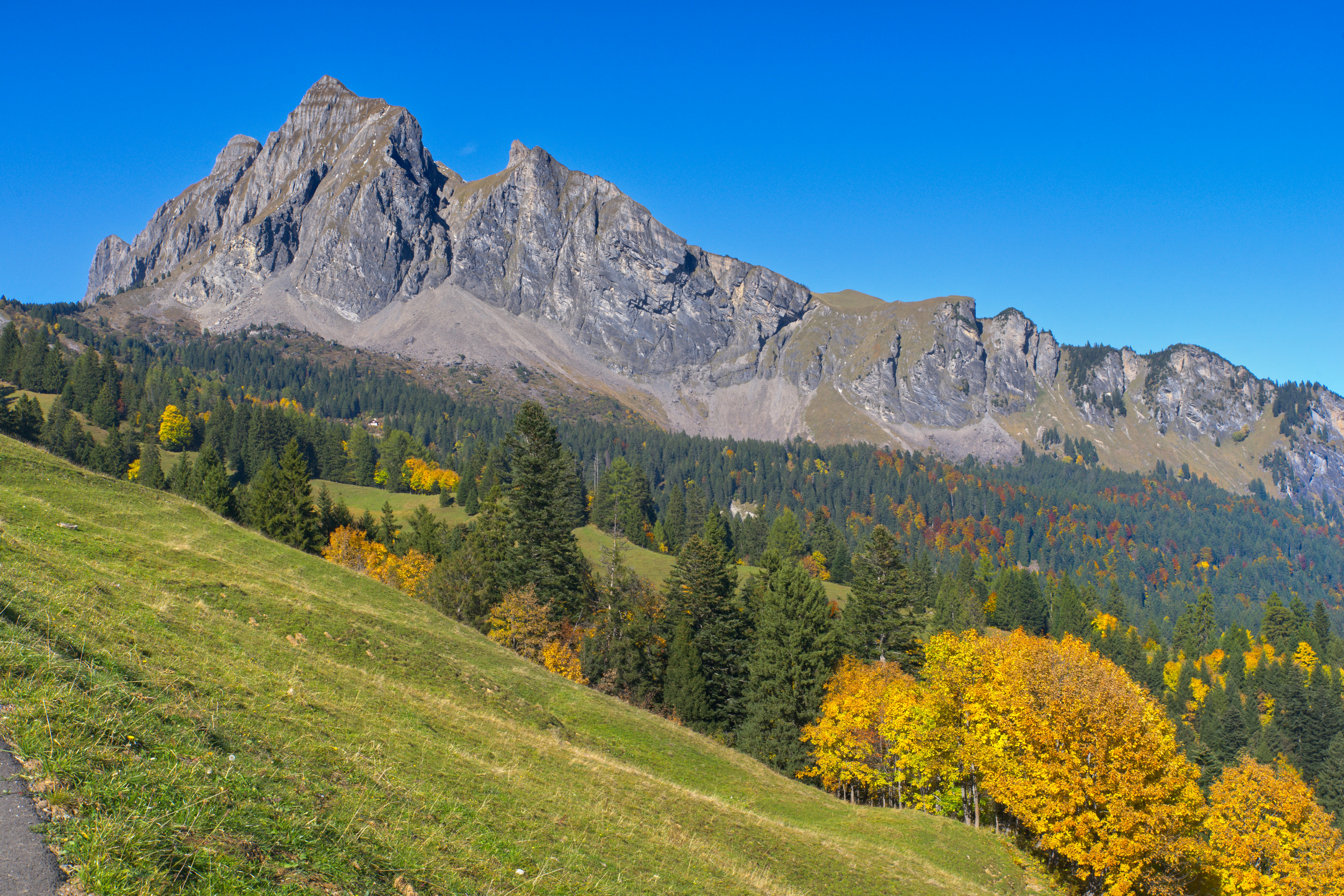 Rugged Peaks Against a Dreamy Autumn Meadow