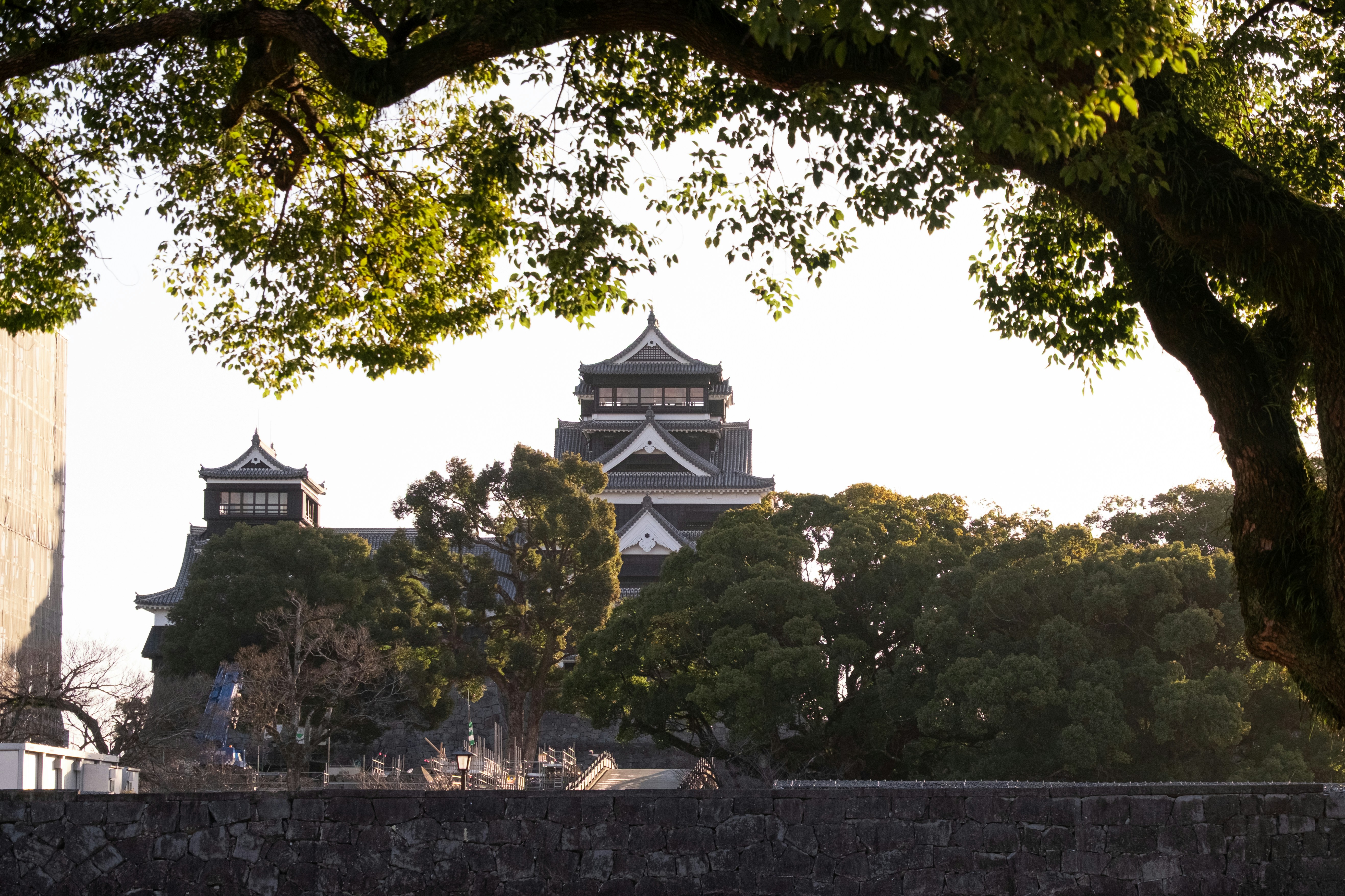 Photo by Tuan P. with Fujifilm X-S20