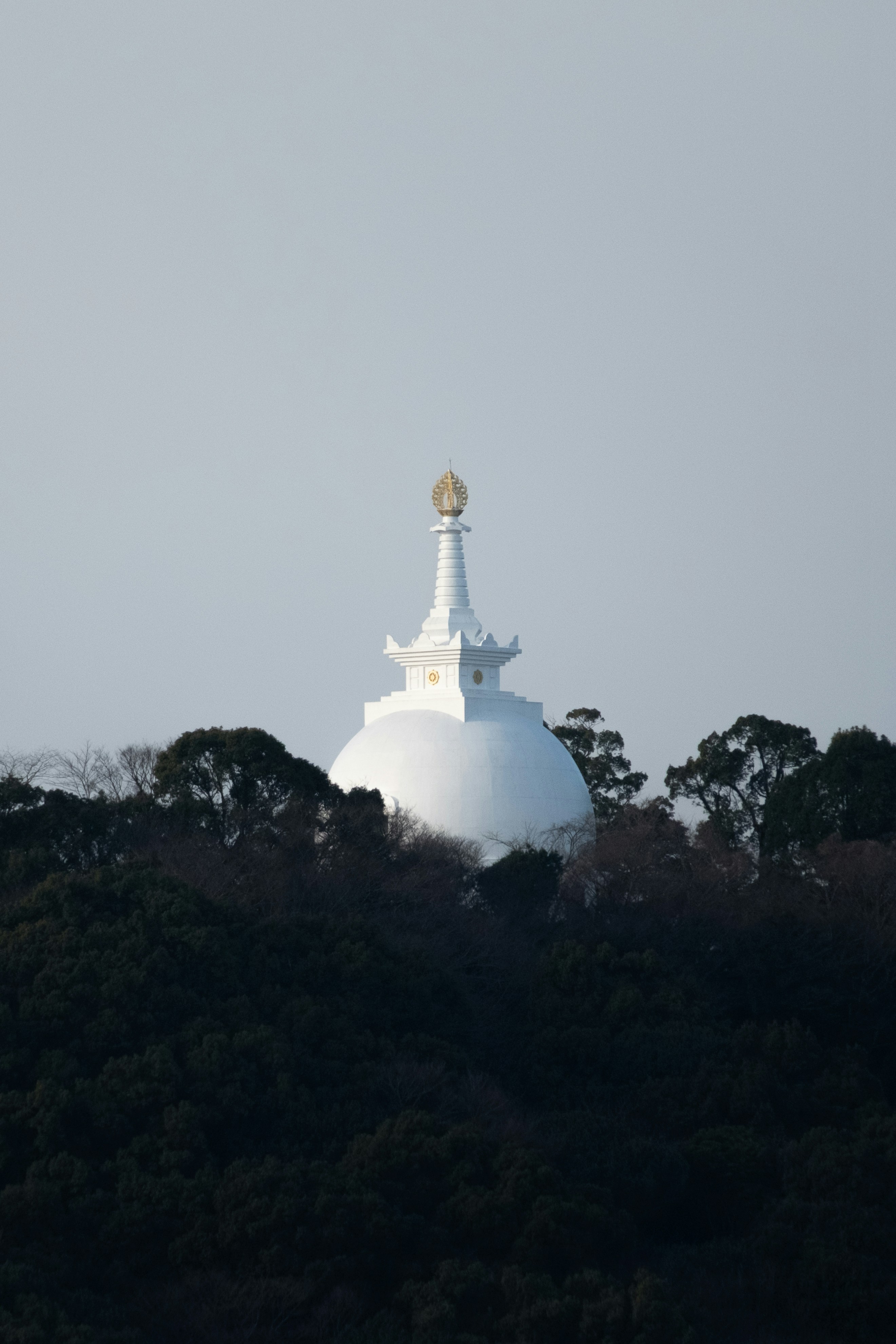 Gilded Finial Above the Pines: A Hilltop Stupa