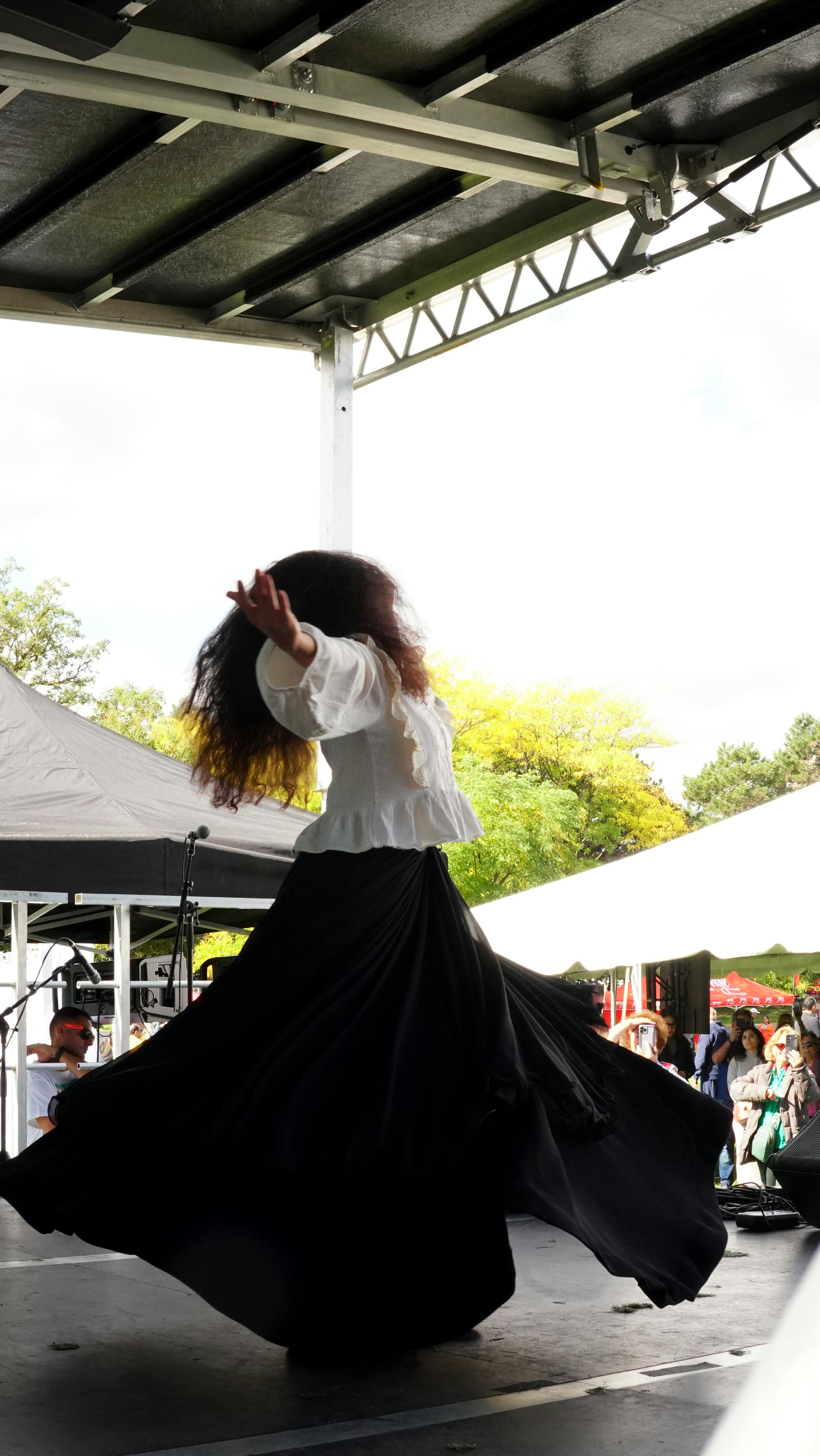 Whirl of Emotion: Dance in Motion