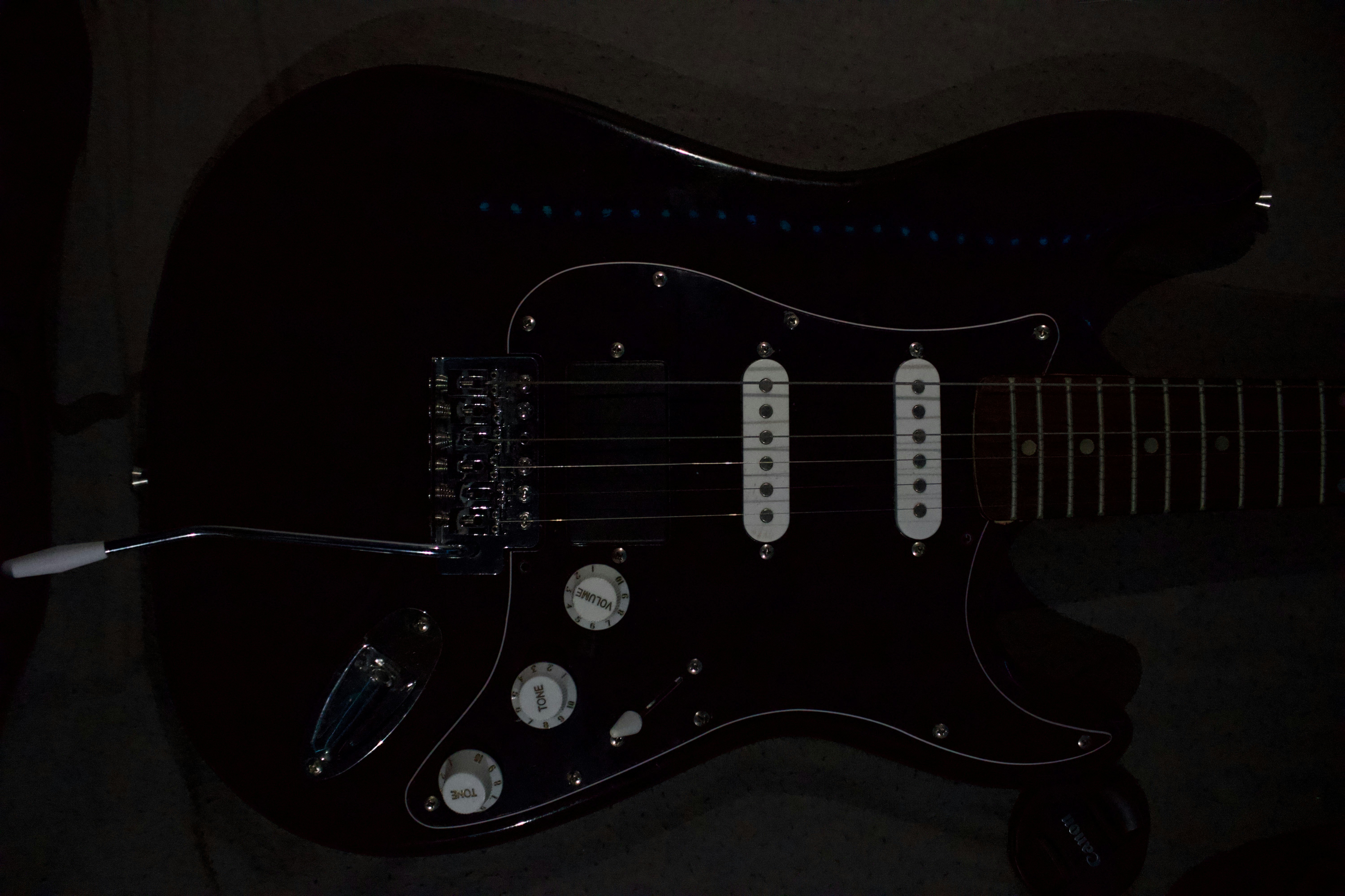 Strings of Expression: A Close-Up on Musical Craftsmanship