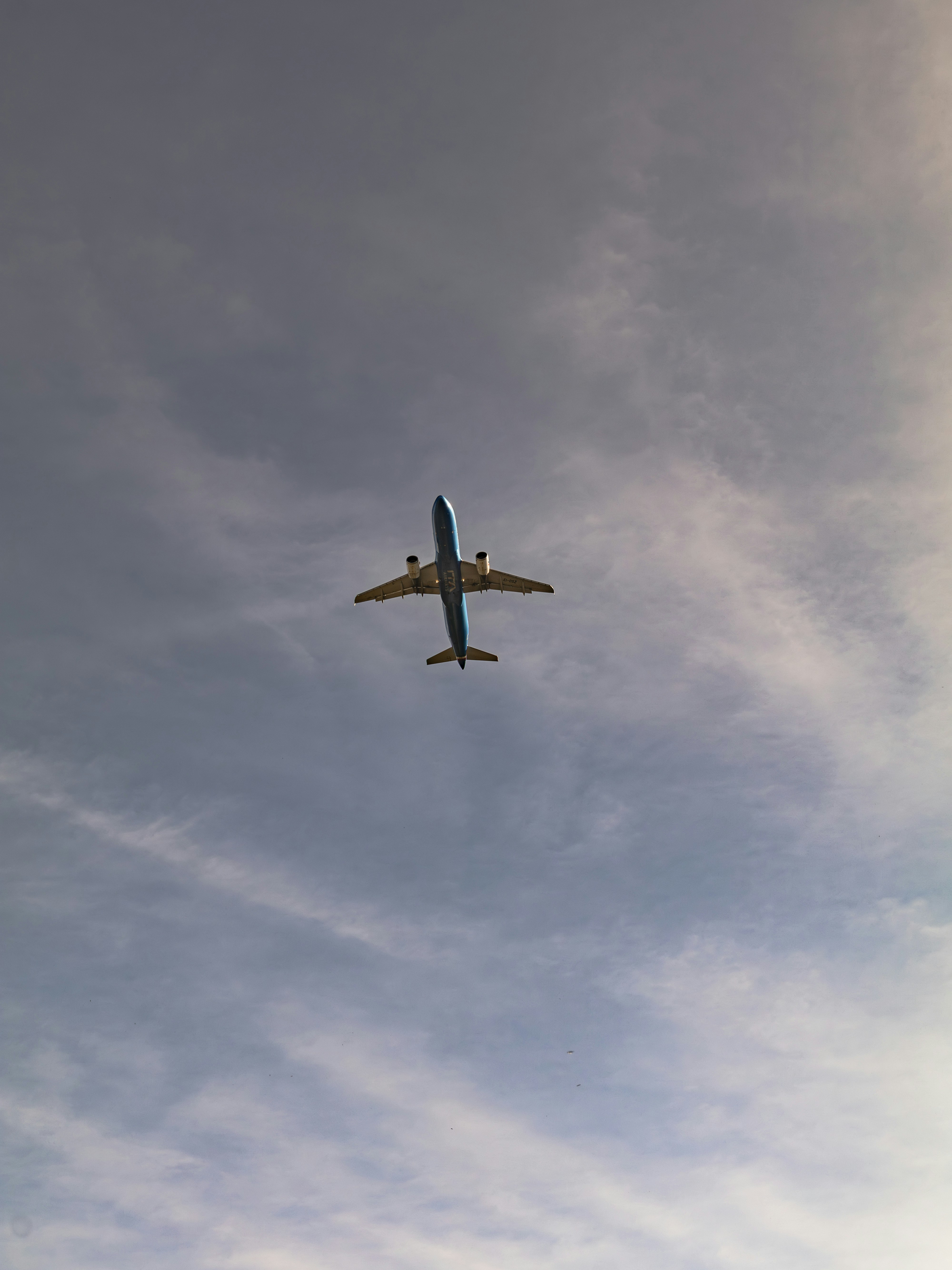 Ascending Dreams: A Journey Through the Skies