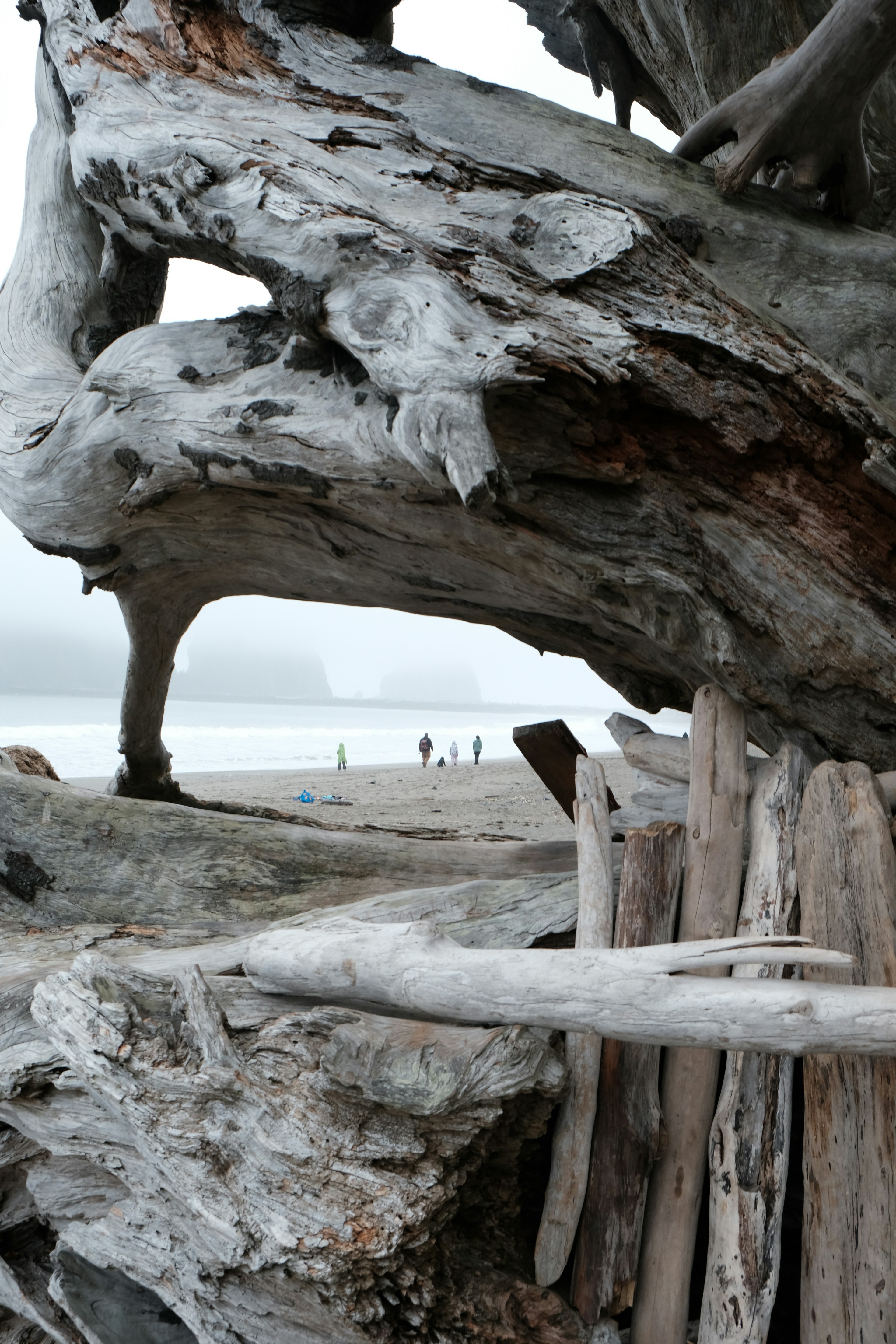 Driftwood on a foggy beach with distant figures