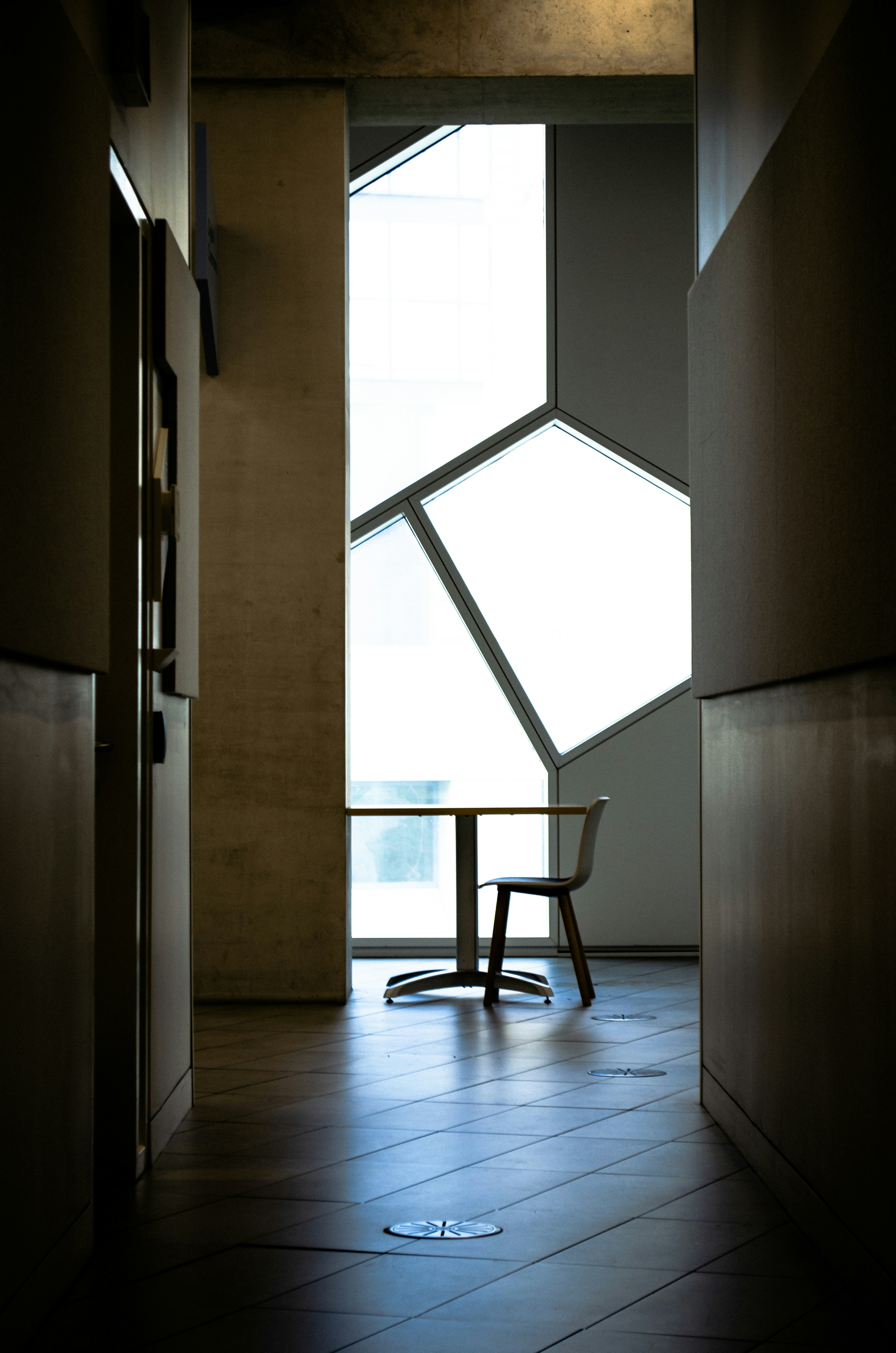 A Solitary Reflection in Modern Design