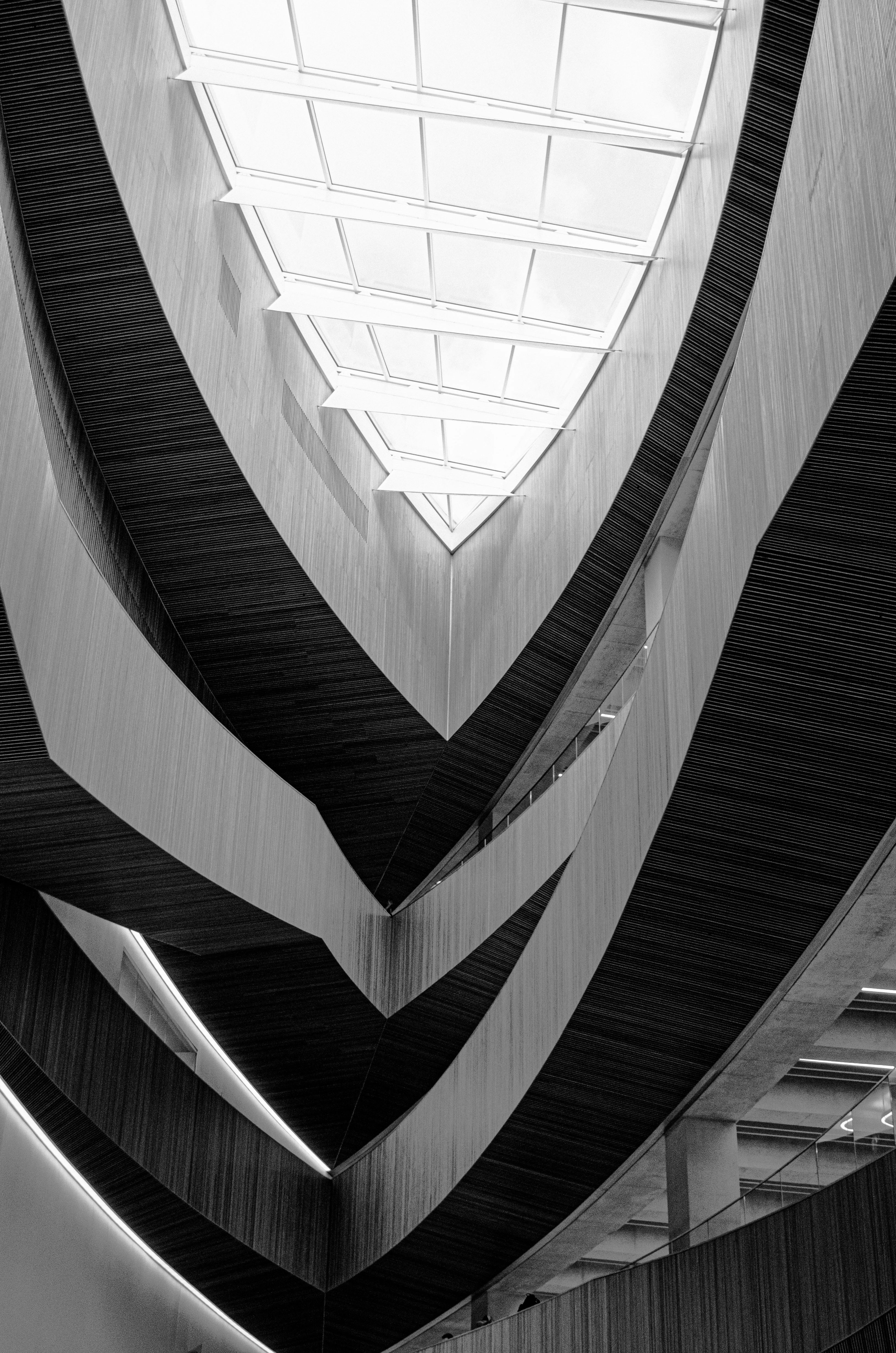 Abstract architectural design featuring sweeping wooden curves and a skylight that floods the space with natural light.