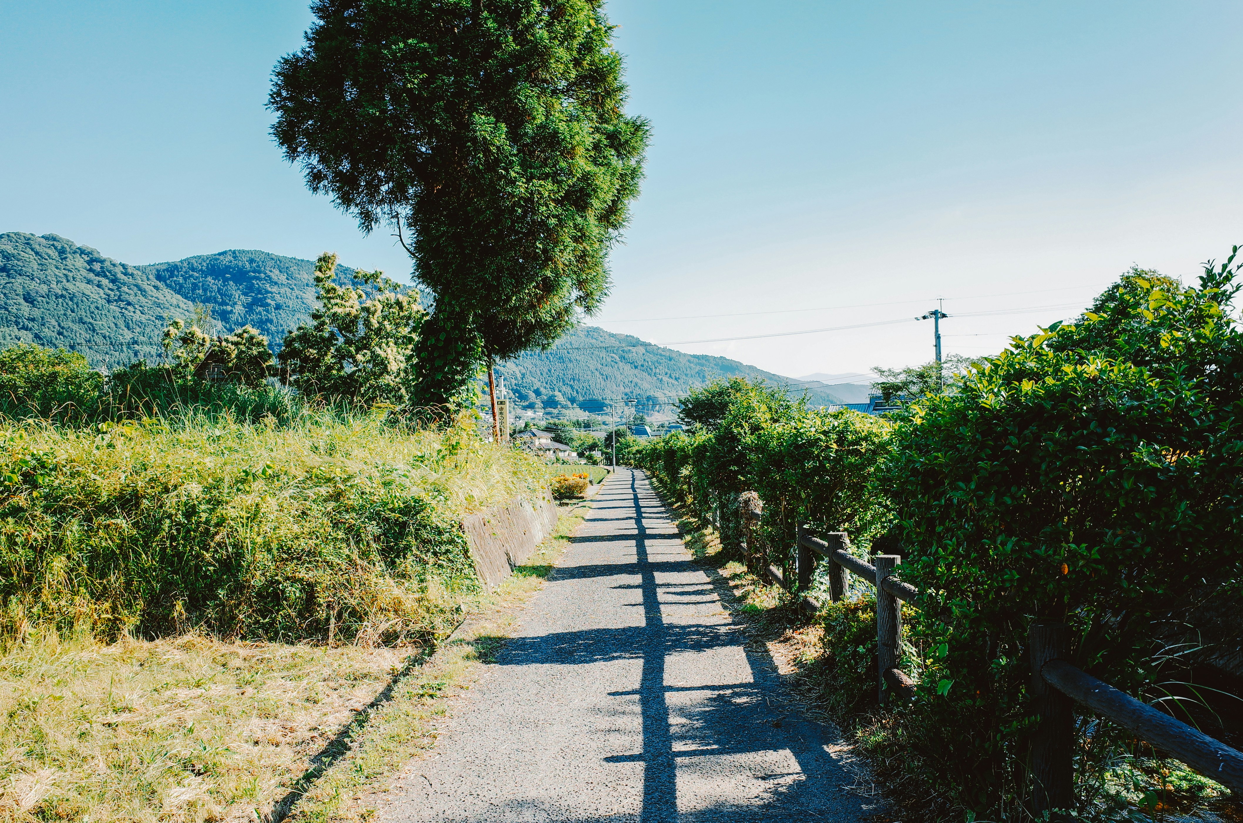 A serene pathway flanked by lush greenery and distant mountains under a clear blue sky.