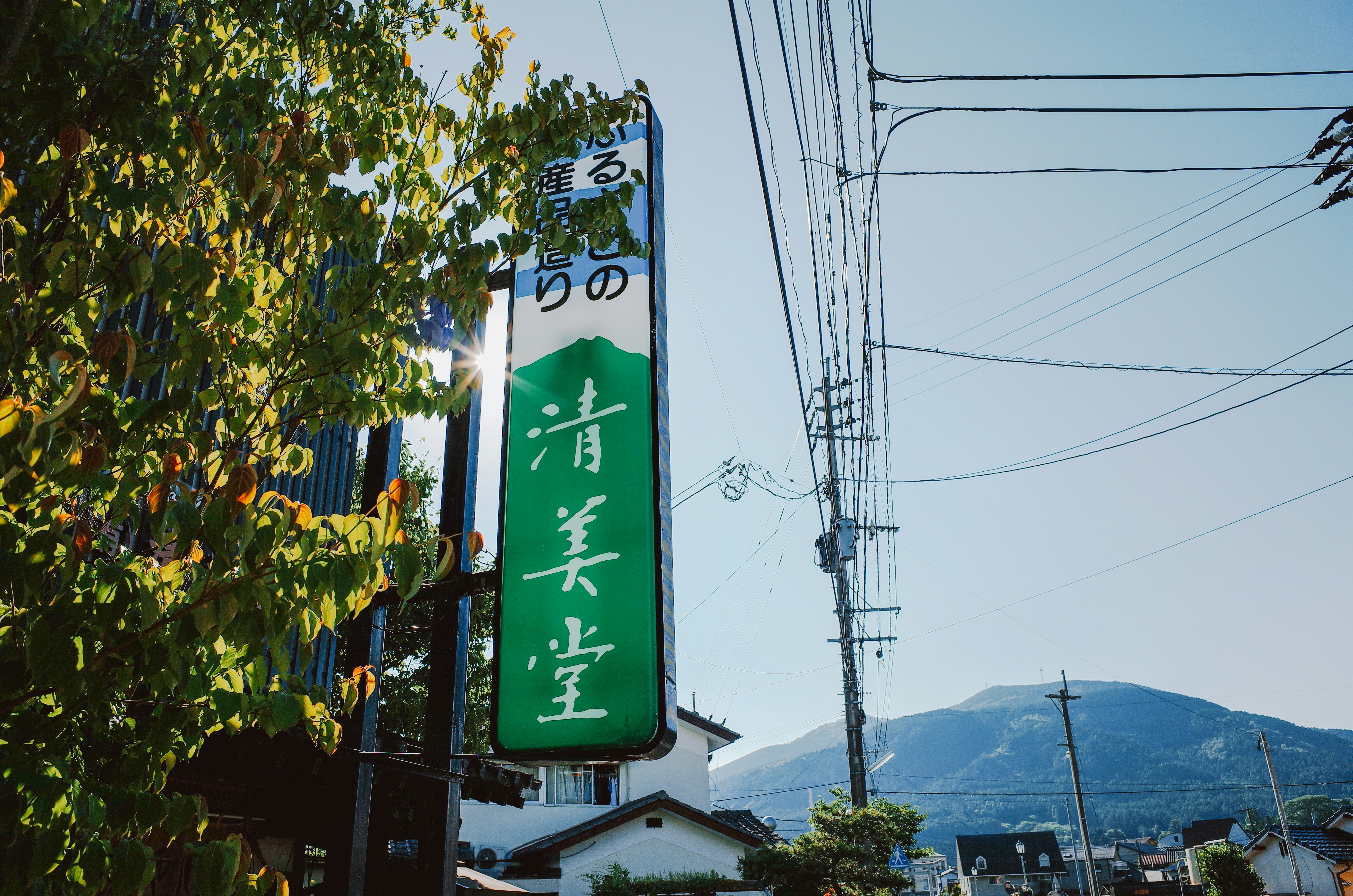 Whispers of Tradition: The Sign of Seibi-Do