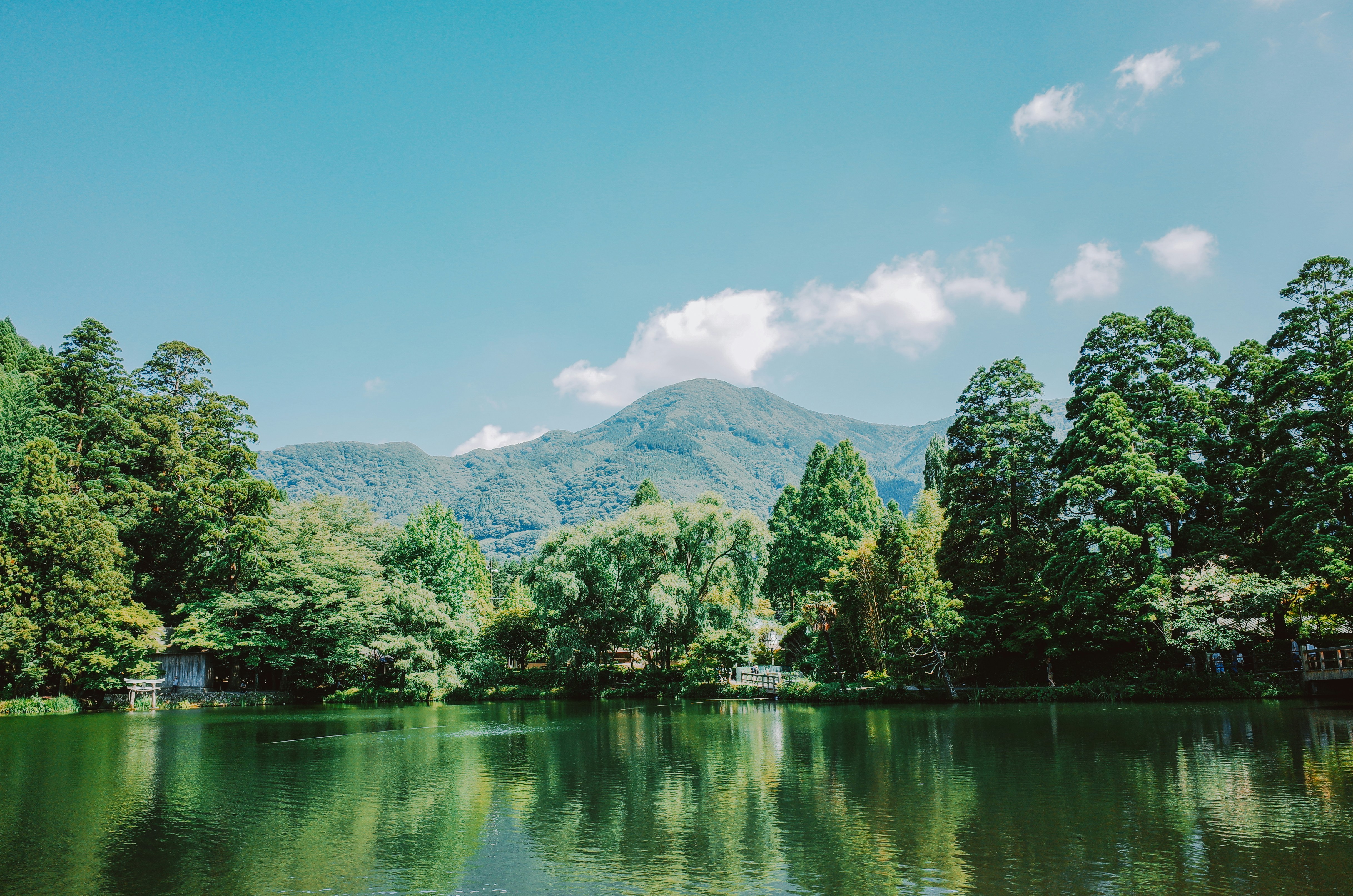 Lush greenery surrounds a calm lake, with mountains rising majestically in the background under a clear blue sky.