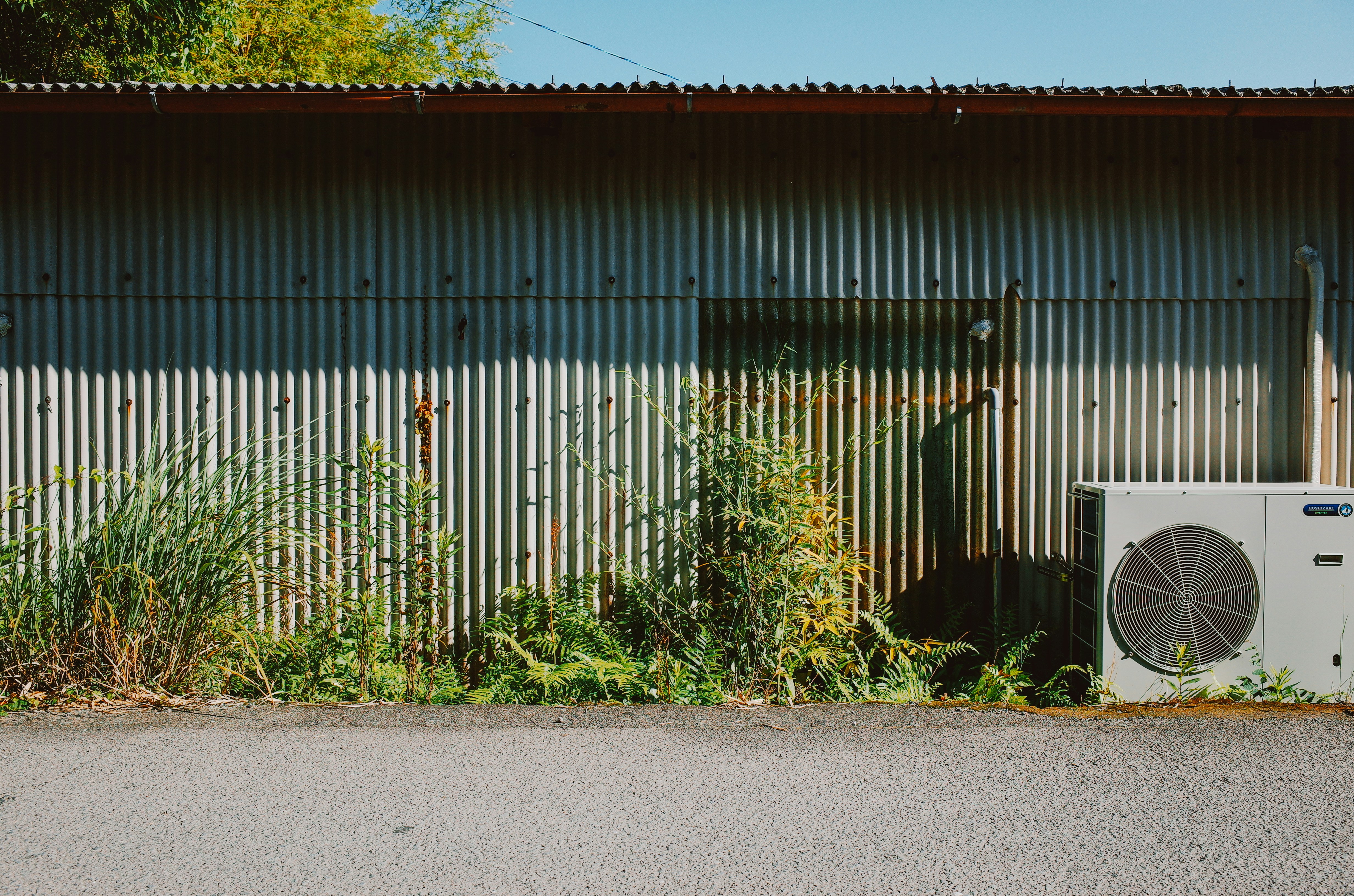 Lush greenery frames a corrugated metal wall, juxtaposed with an air conditioning unit, reflecting a blend of urban and natural elements.