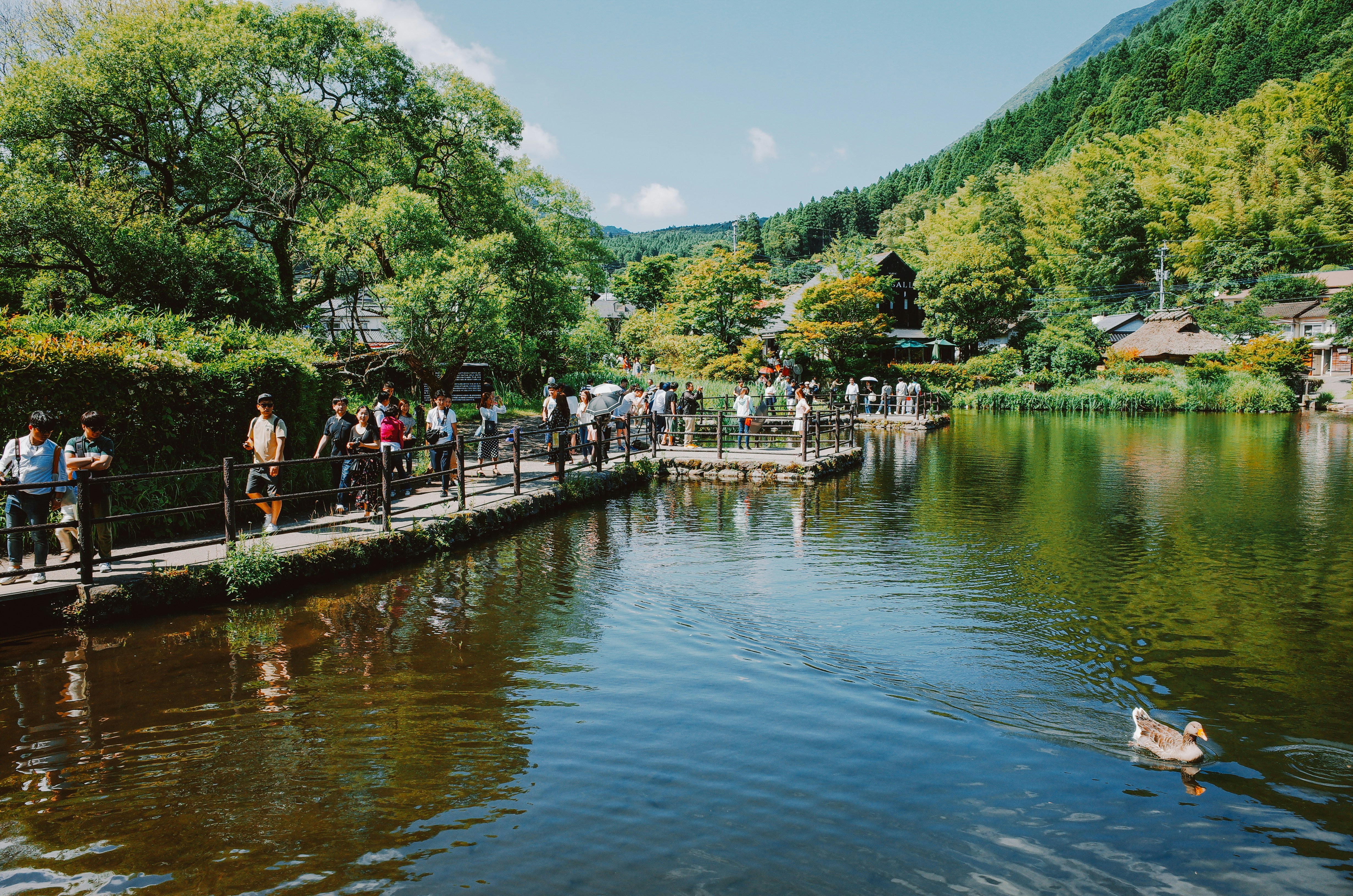 Photo by PJH with Ricoh GR II