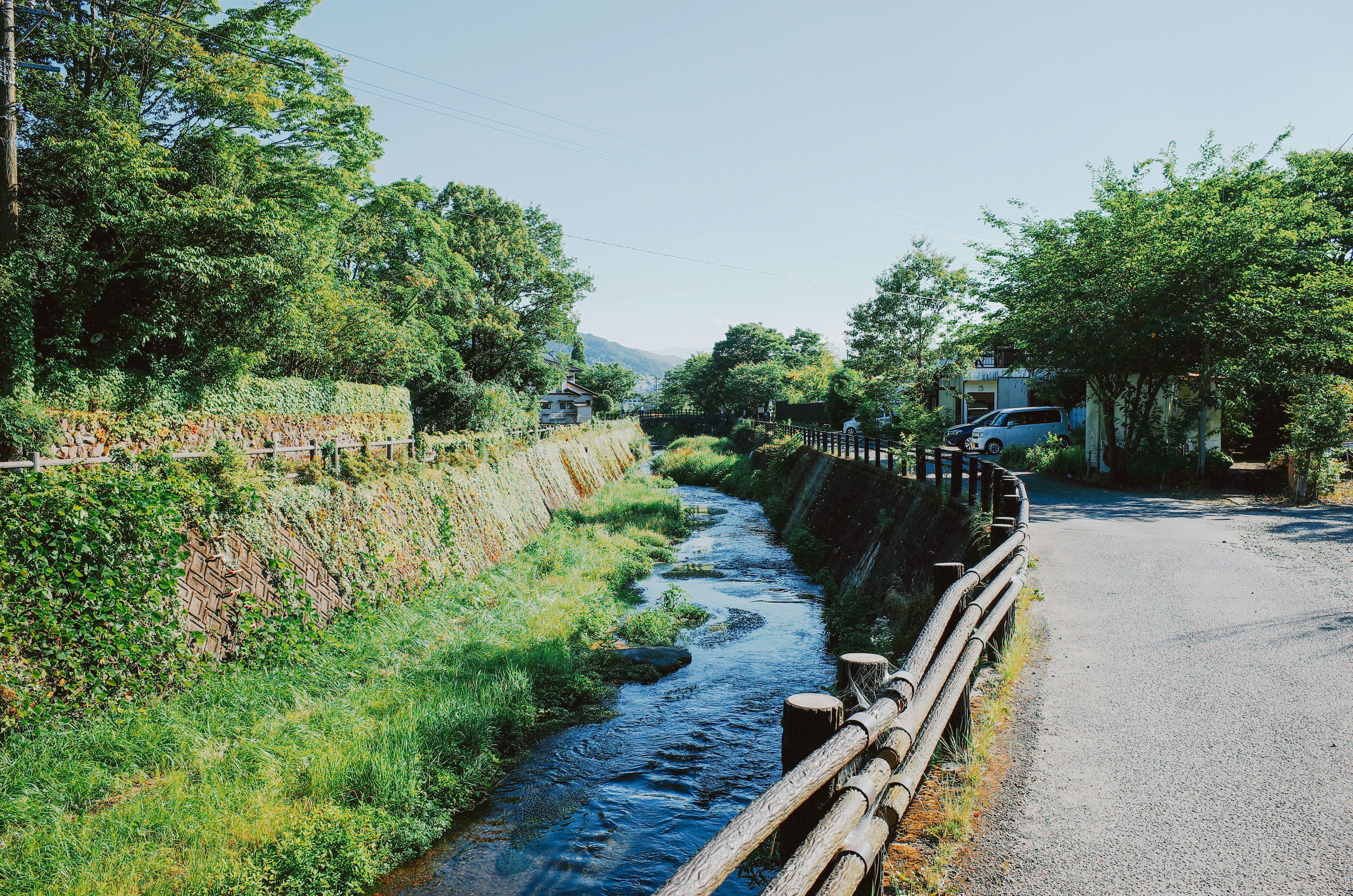 Tranquil Streamside Serenity