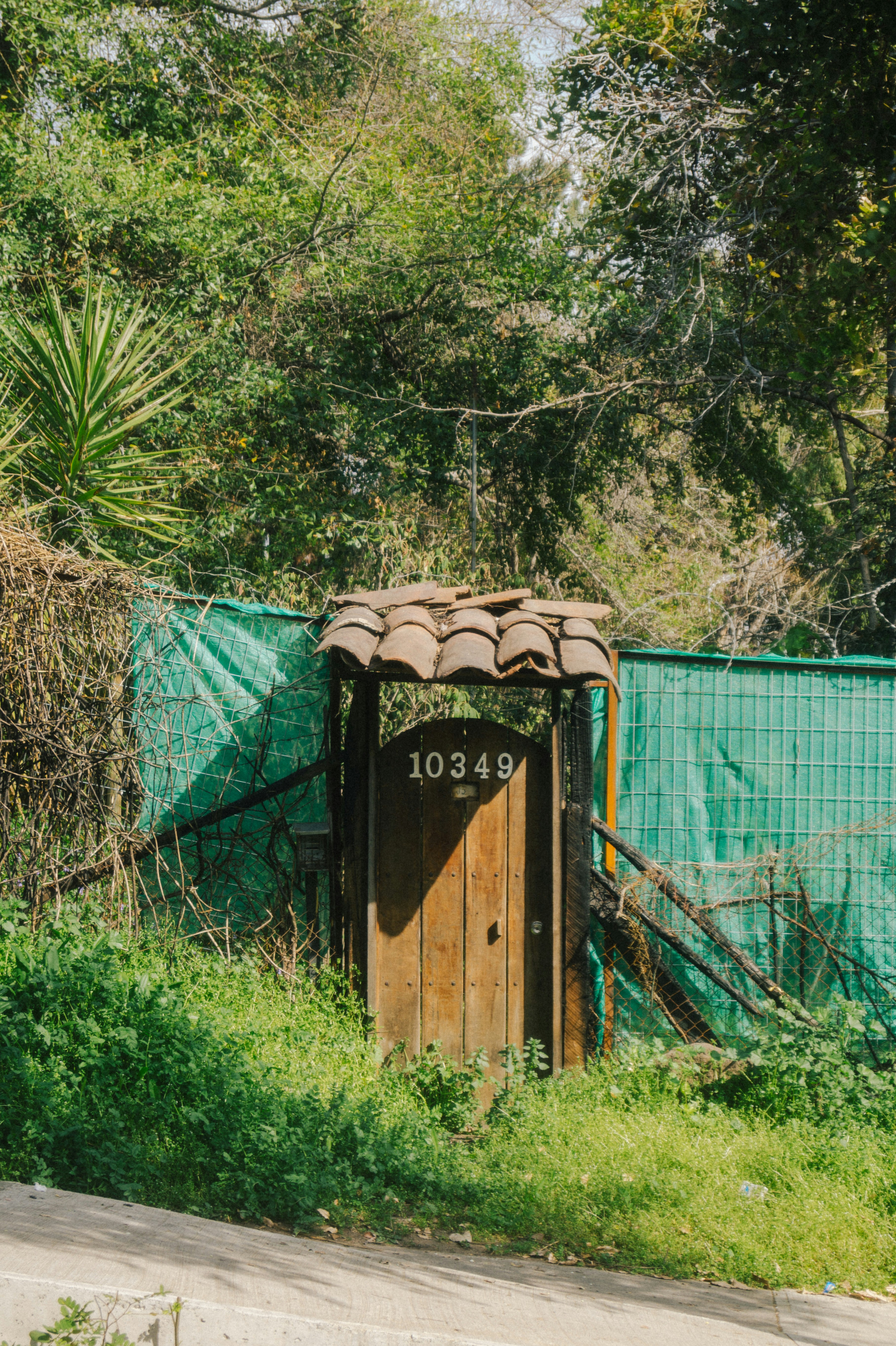 10349 Gate: A Weathered Portal Nestled Behind Turquoise Mesh and Verdant Overgrowth