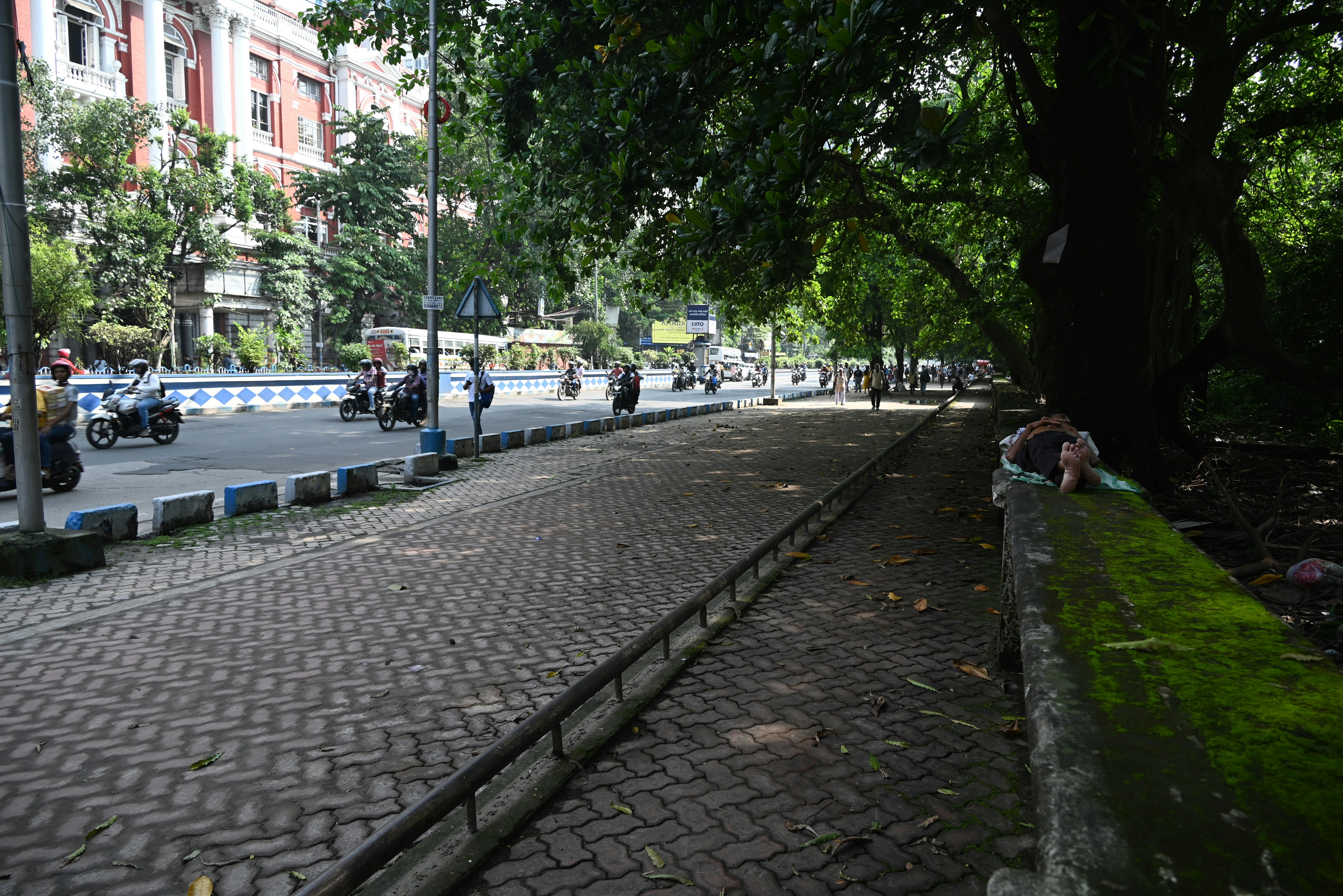 Urban Serenity Amidst Motion