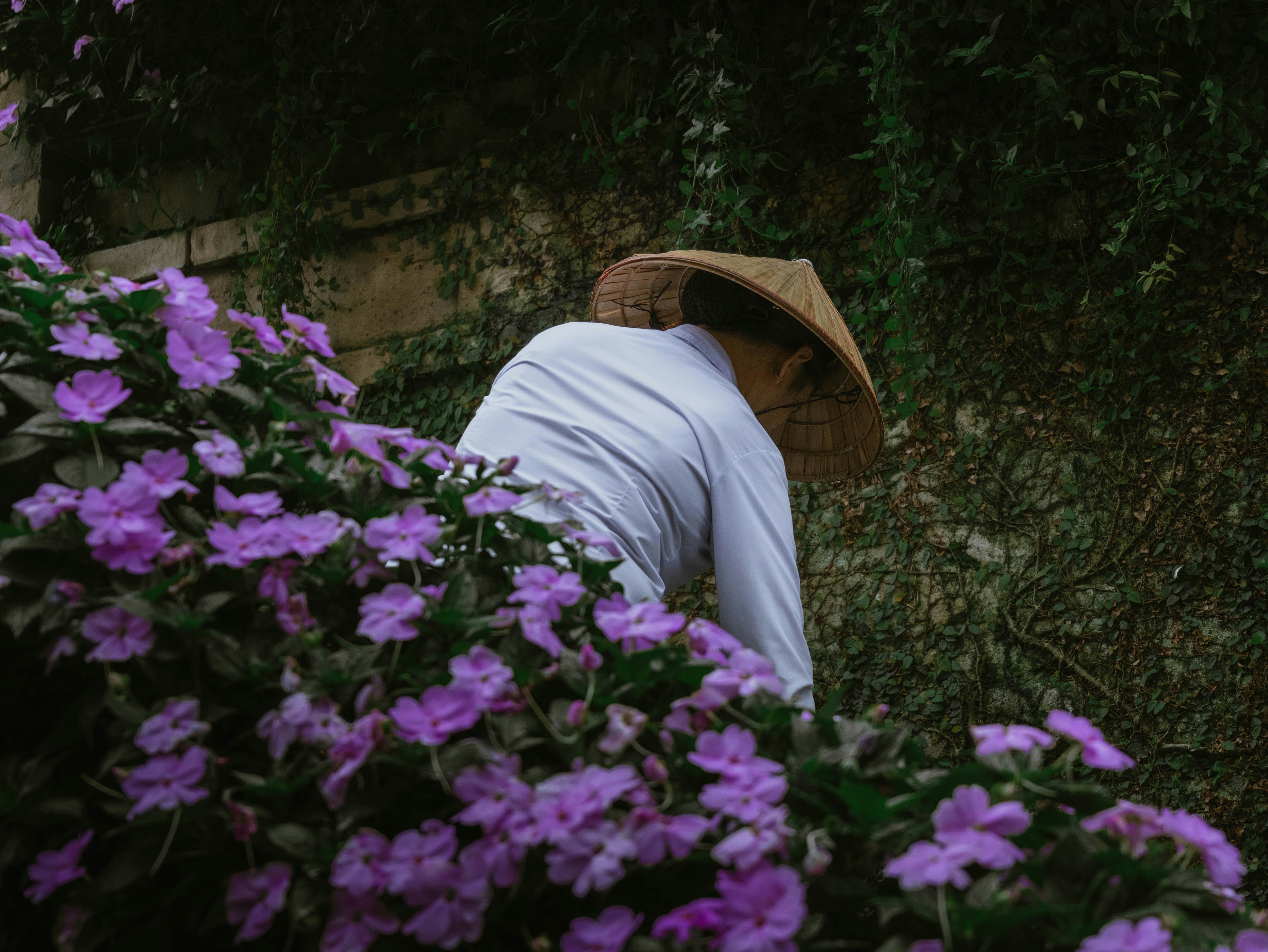 Harmony in Bloom: A Gardener's Touch