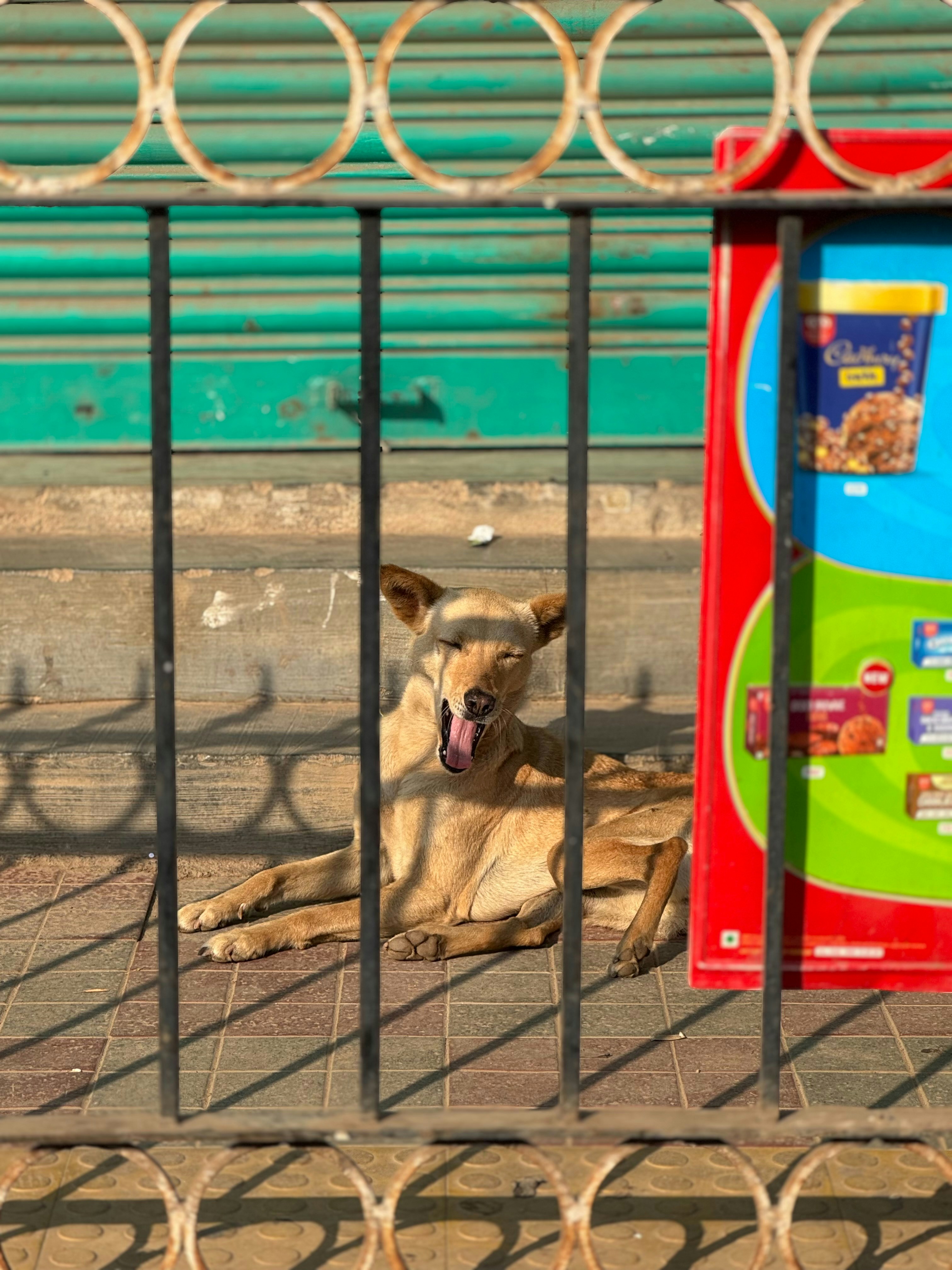 Apurva Gollamudi (@apurvag) | Comunidad de fotos de Unsplash