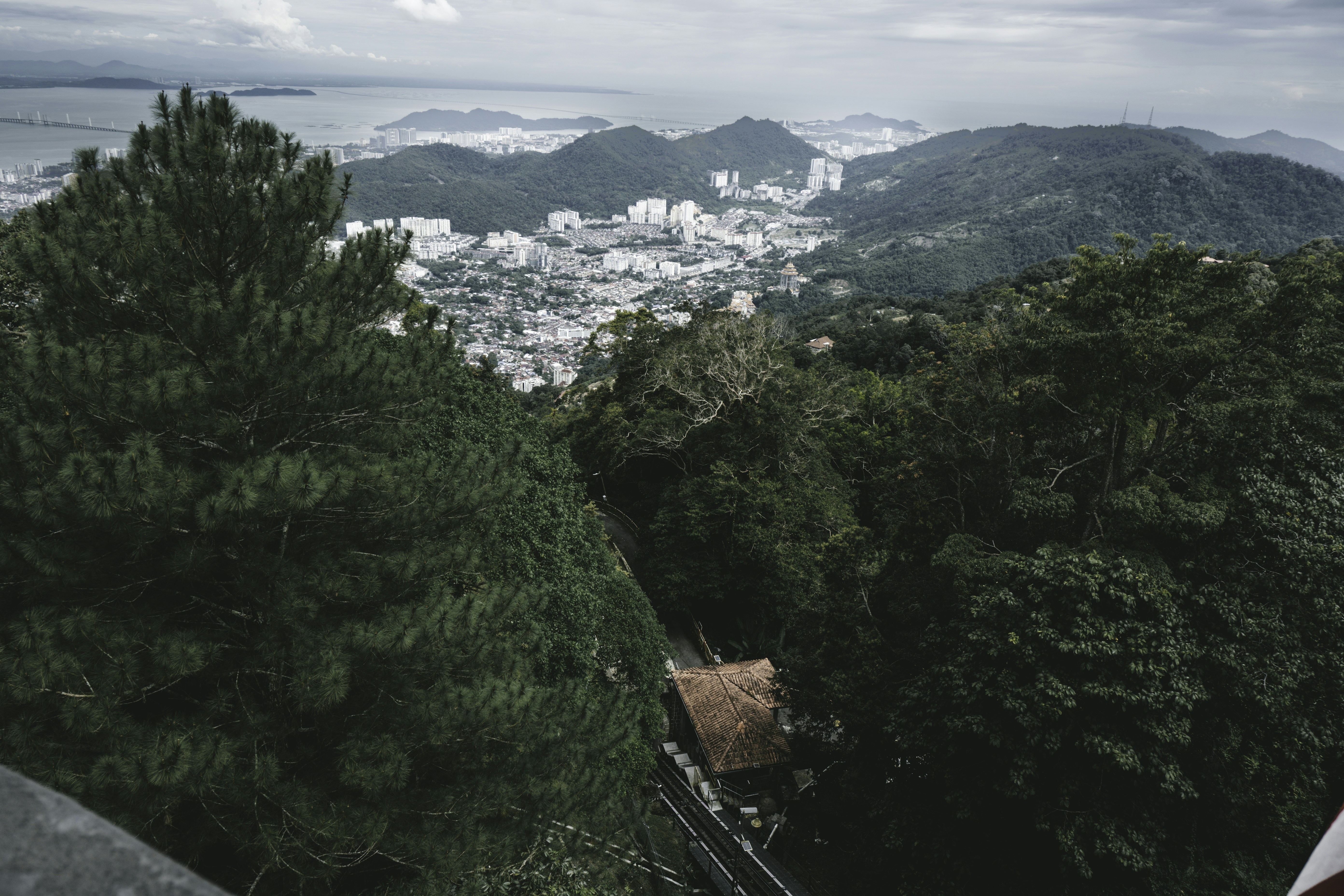 Red-Roof Shrine Overlooking a Coastal City from a Forested Ridge