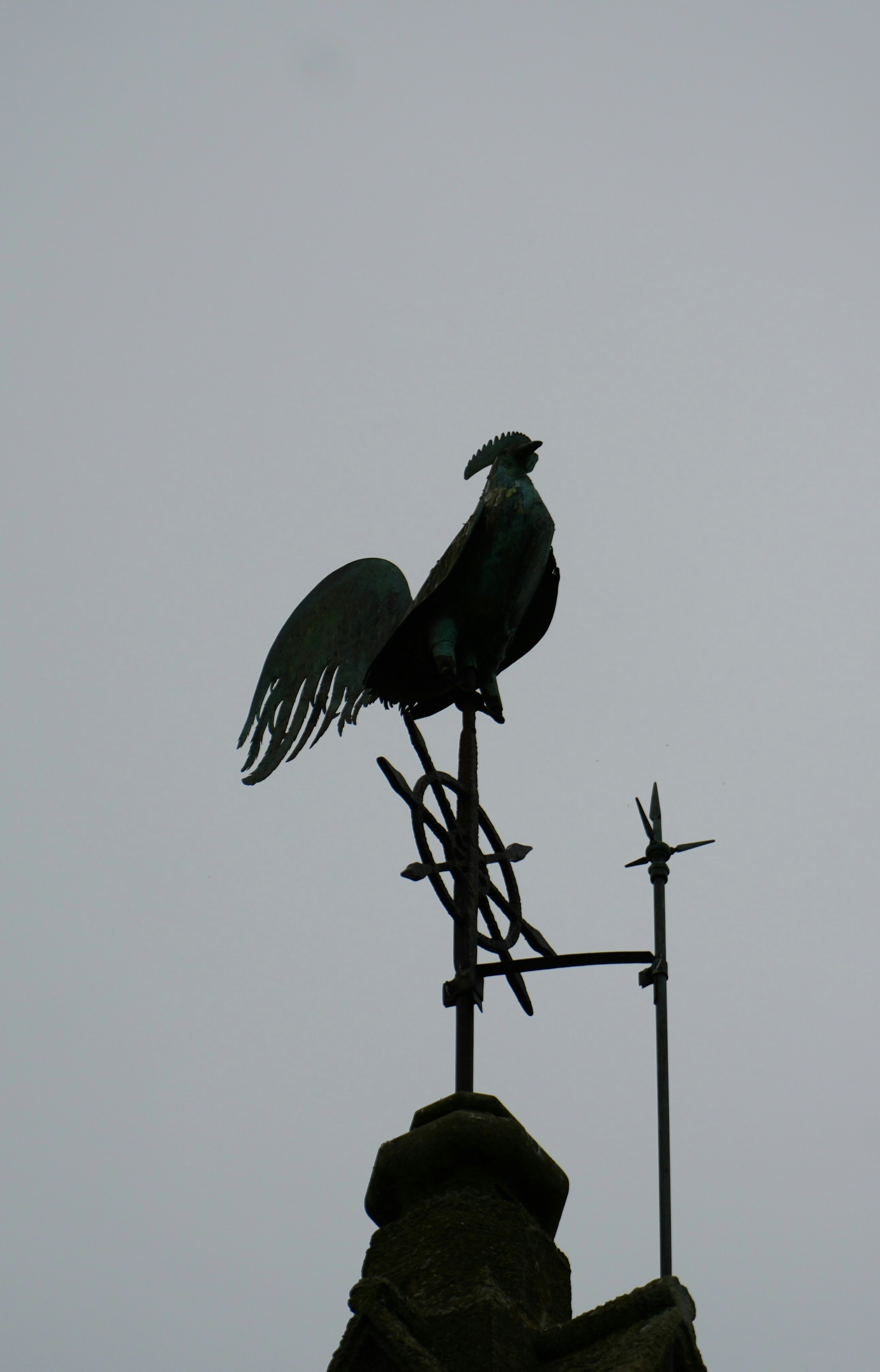 The Sentinel of the Skies