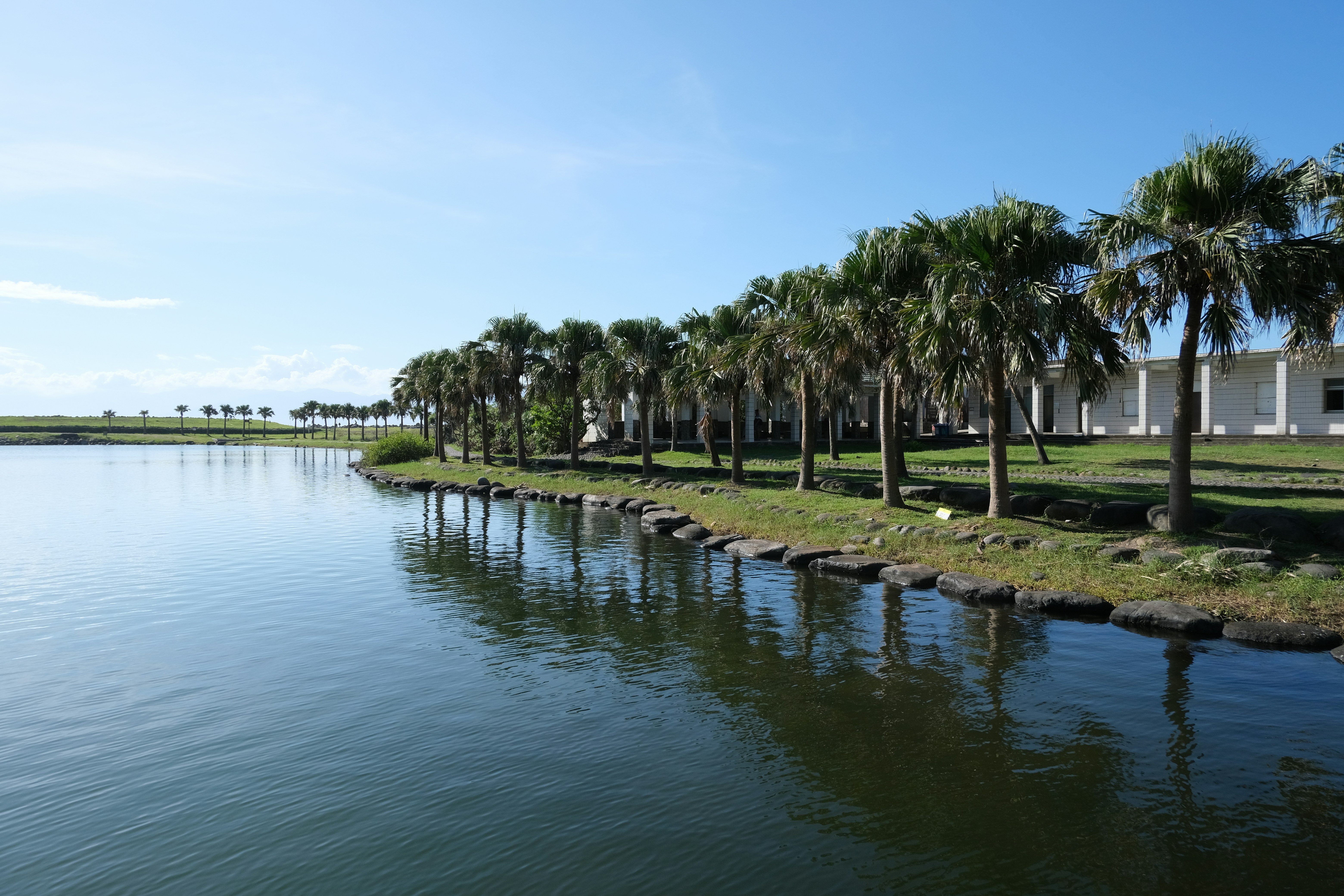 Palm trees lining a serene waterway under a clear blue sky, showcasing a harmonious blend of nature and architecture.