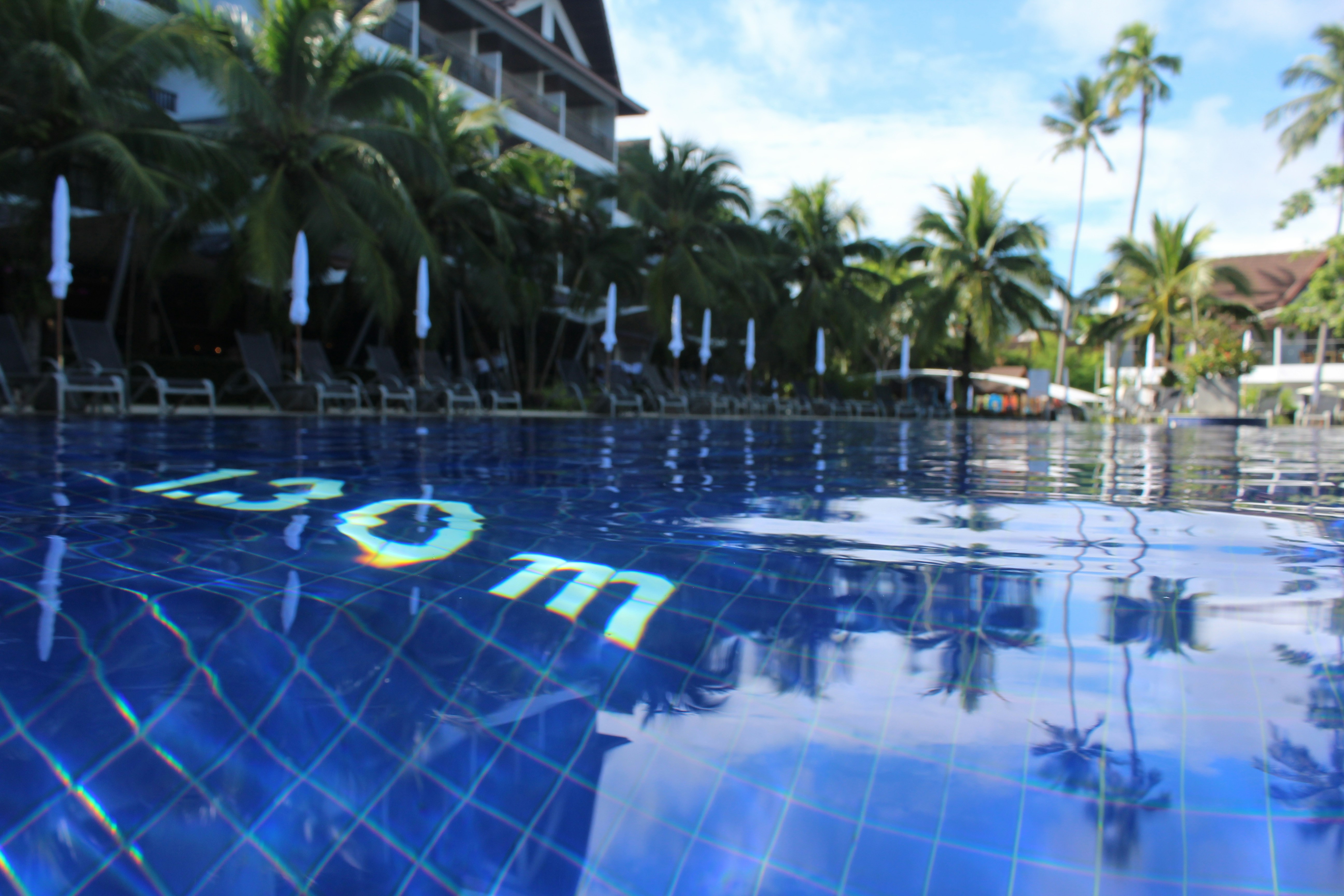 Serene Reflections: A Tropical Oasis