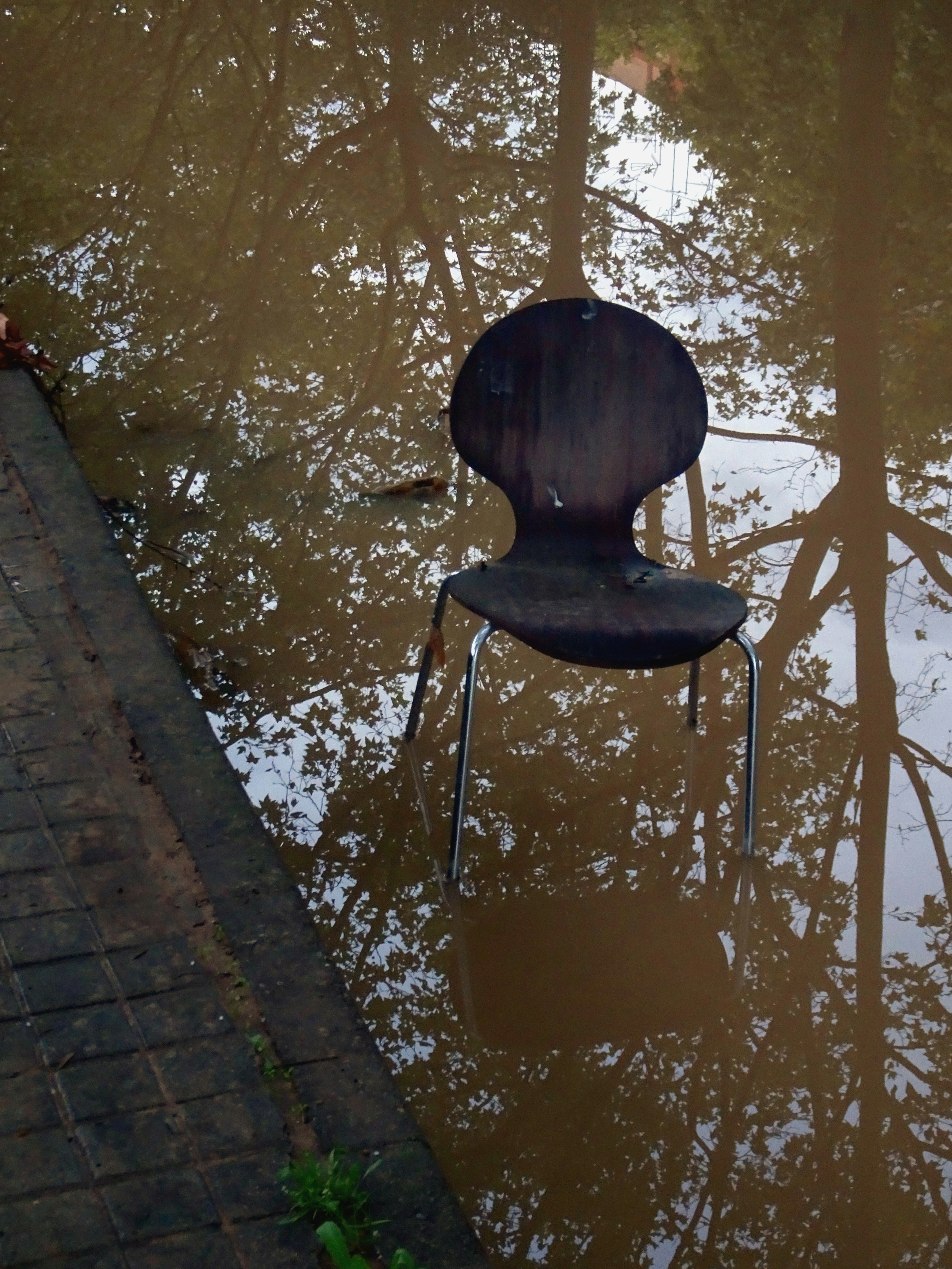 Silla solitaria reflejada en el agua tras la lluvia. | Chair floating in murky water with tree reflections