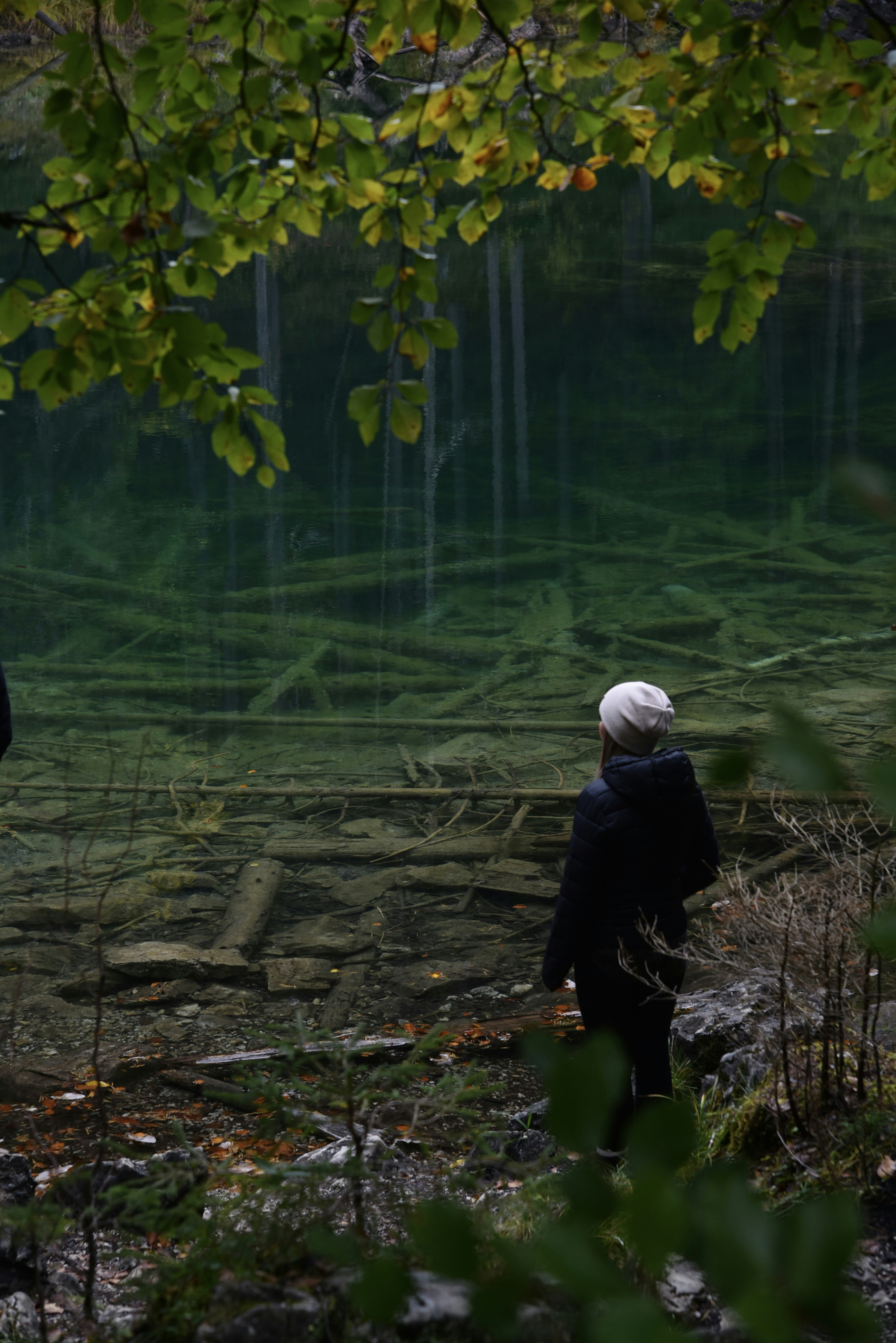 Person looking at a clear lake with submerged trees.