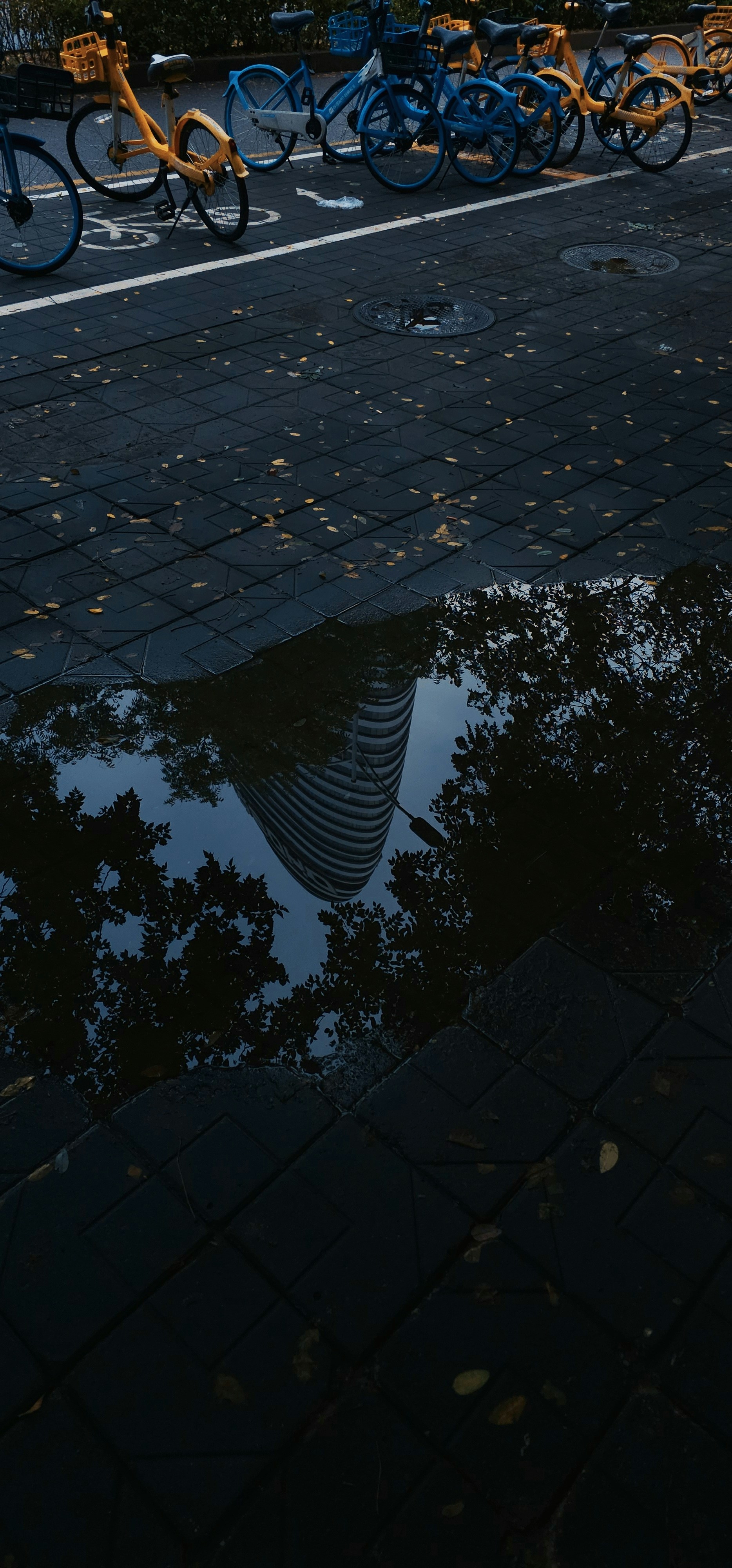 Reflections of Urban Life