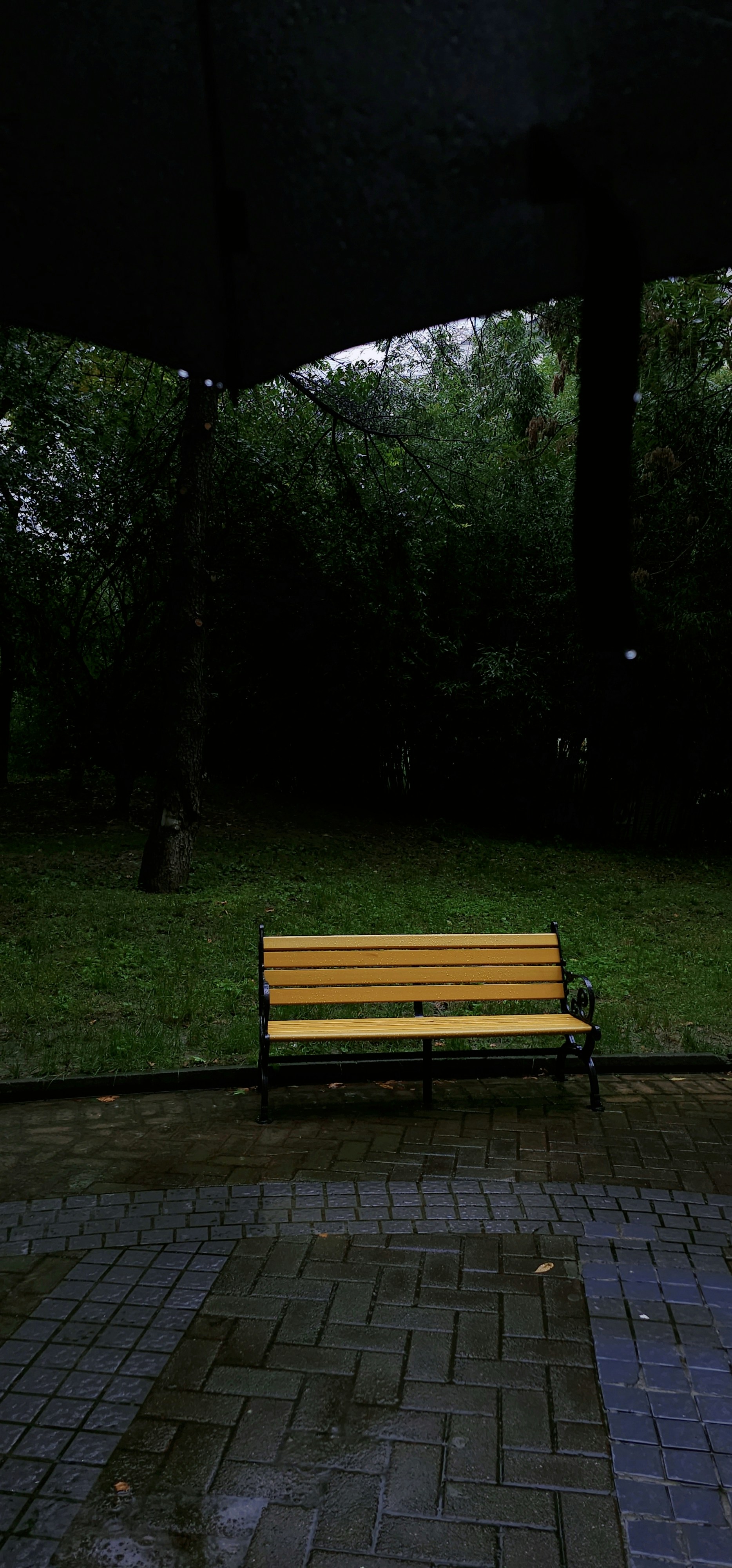 A yellow park bench sits on a wet path.