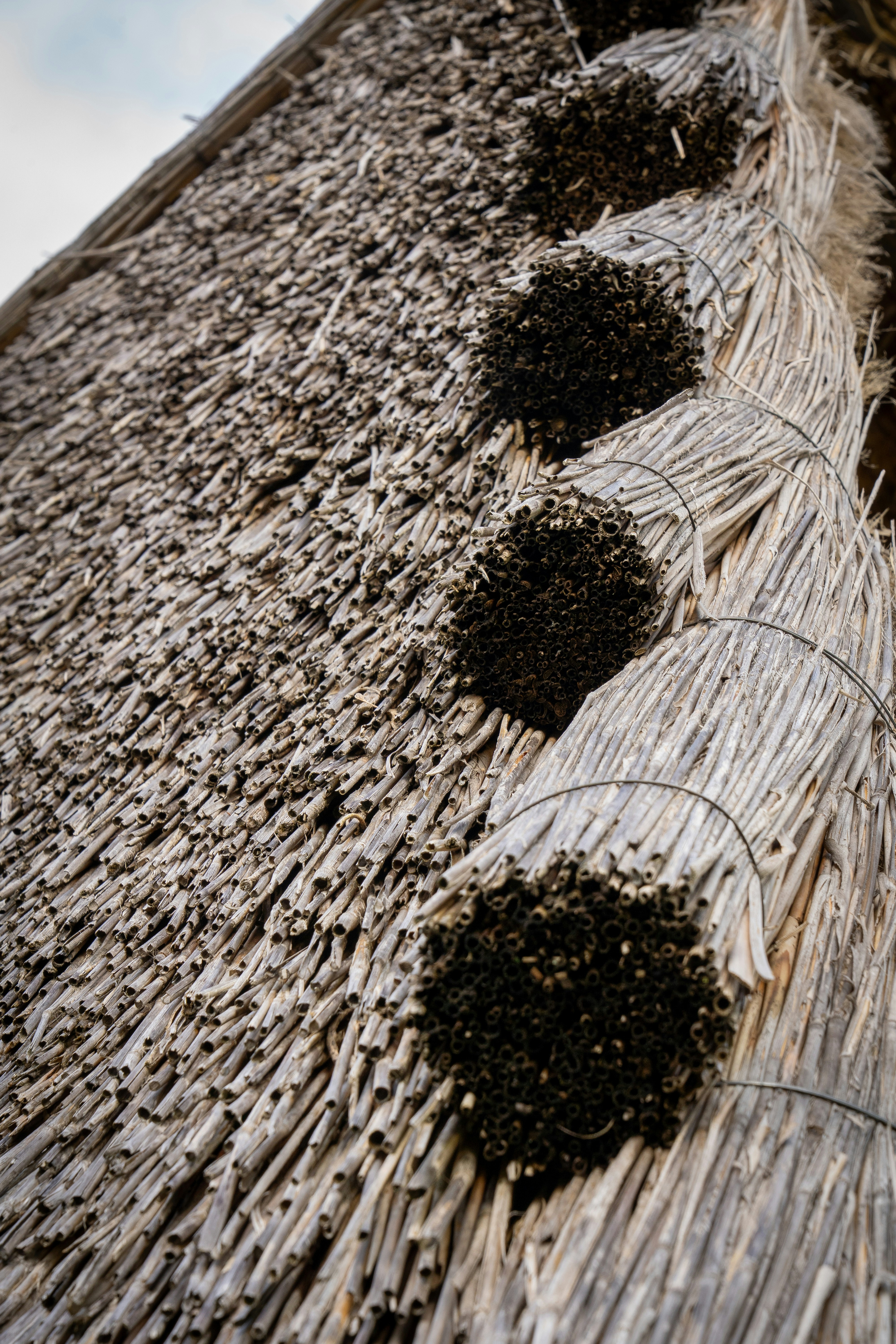 Nature's Architecture: The Art of Thatching