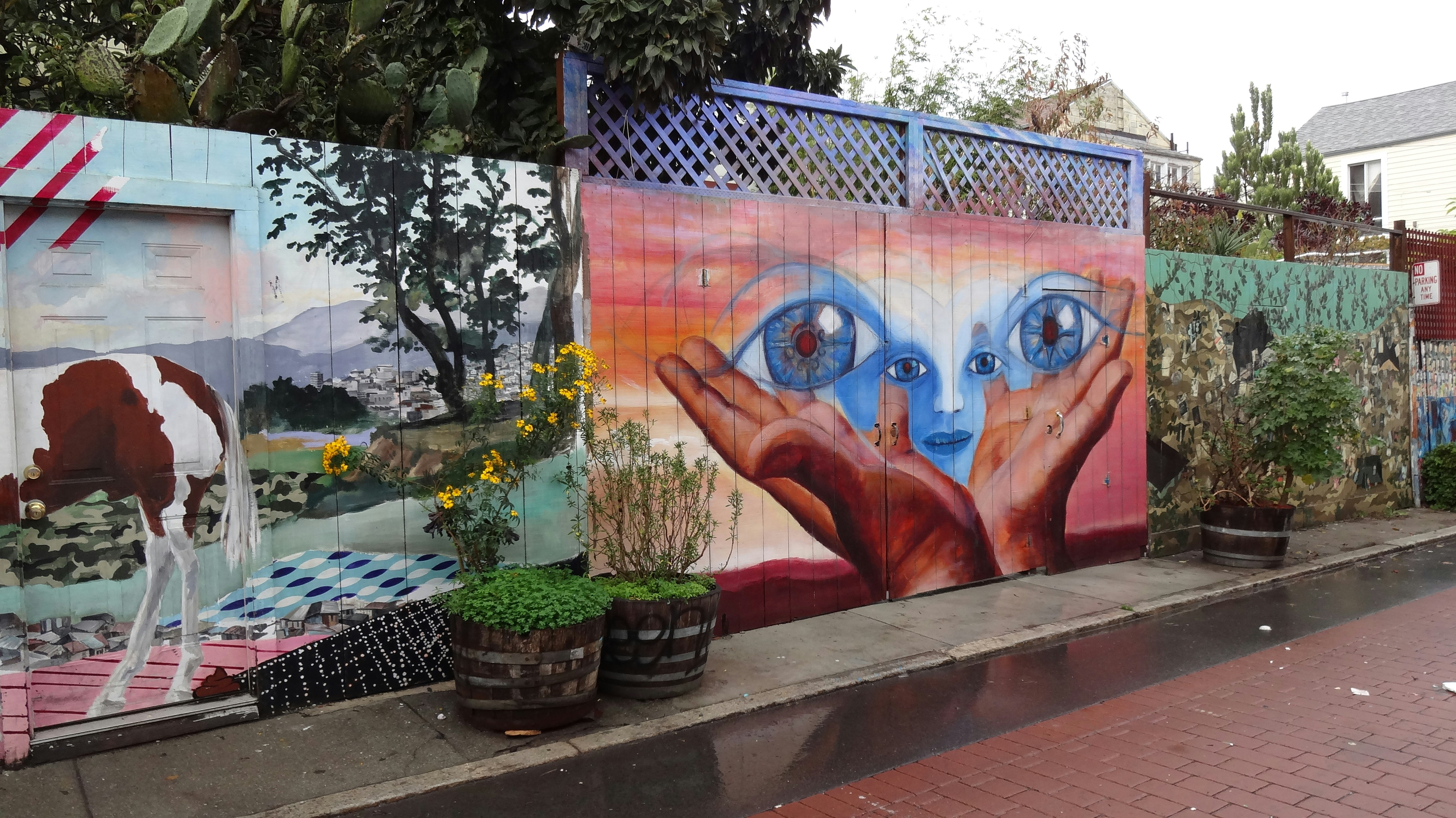 Vibrant mural featuring expressive eyes cradled in hands against a colorful backdrop, adorned with floral elements. A testament to urban artistry and creativity.