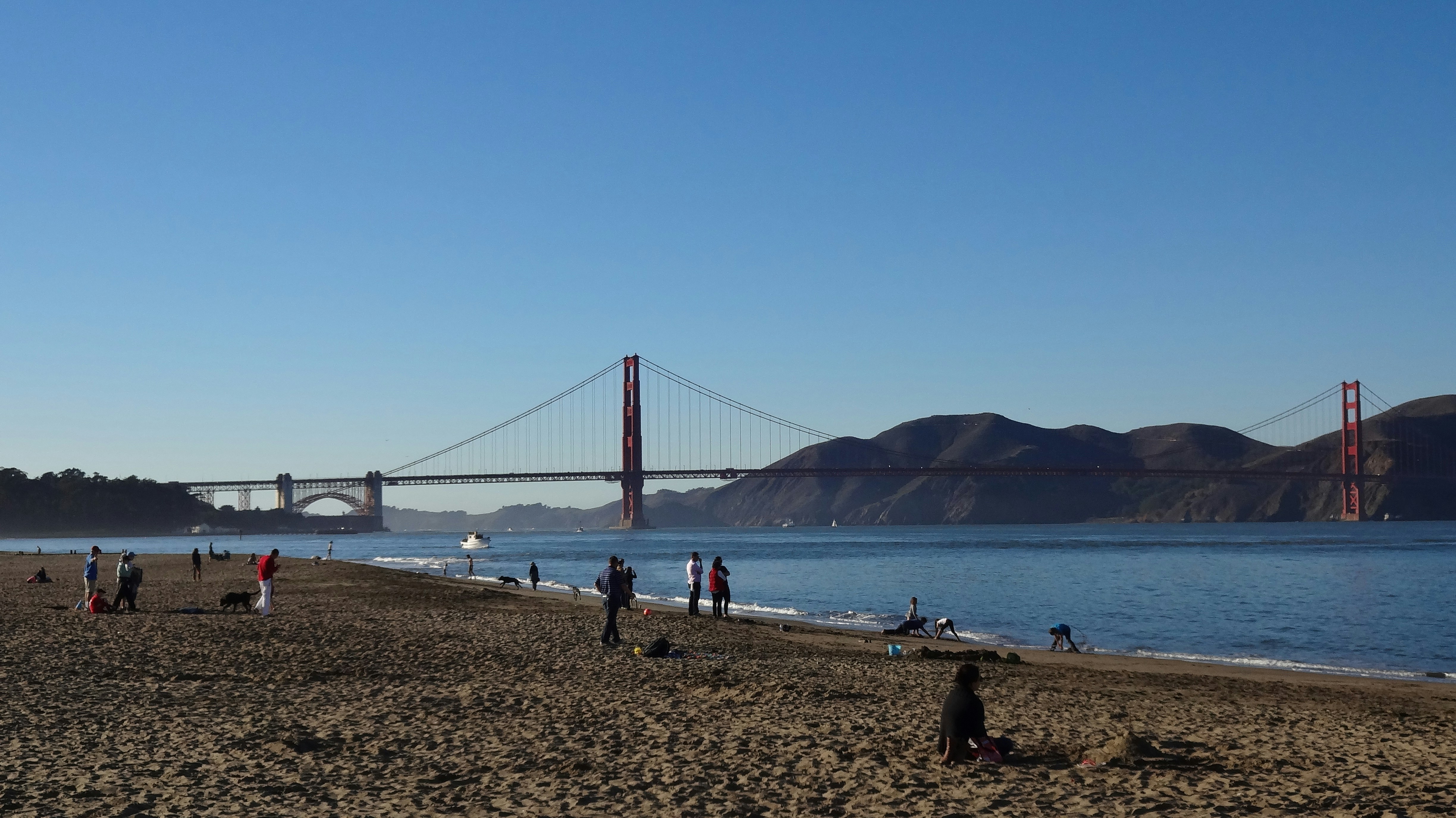 People and dogs on a beach with golden gate bridge.