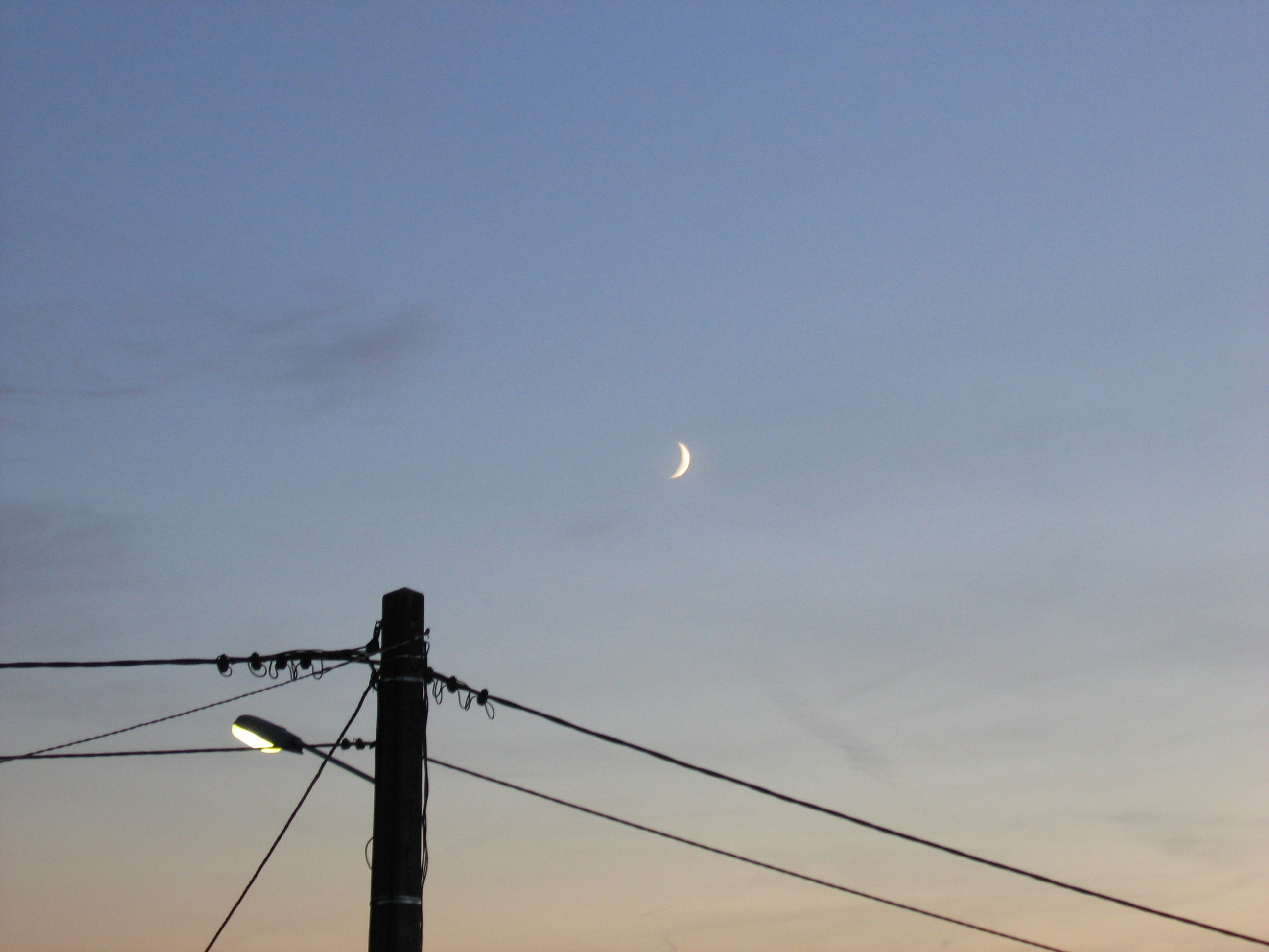 Crescent moon in a pale blue twilight sky.