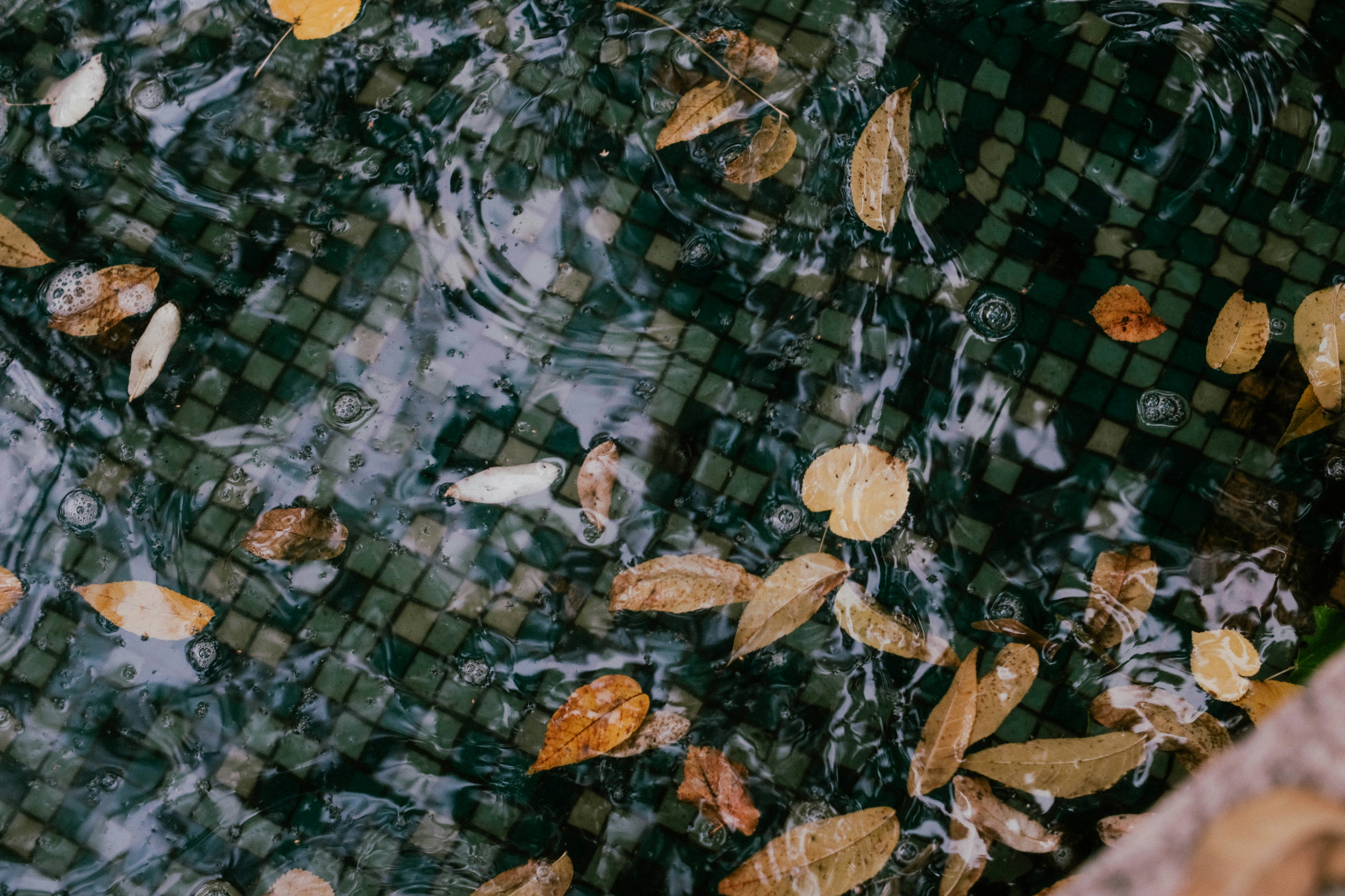 Autumn's Reflection in Still Waters