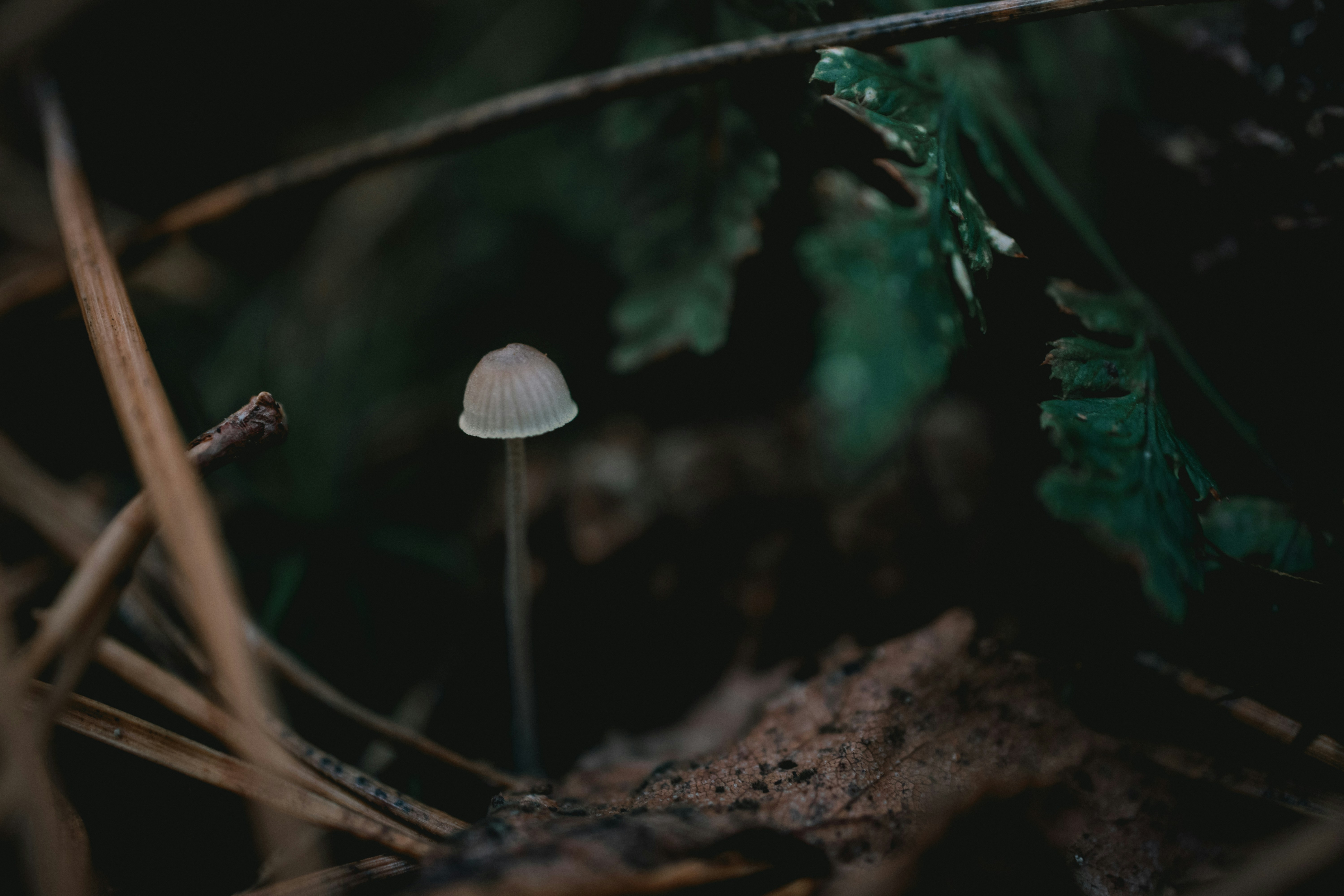 Photo by Sofie D. with Canon EOS M100