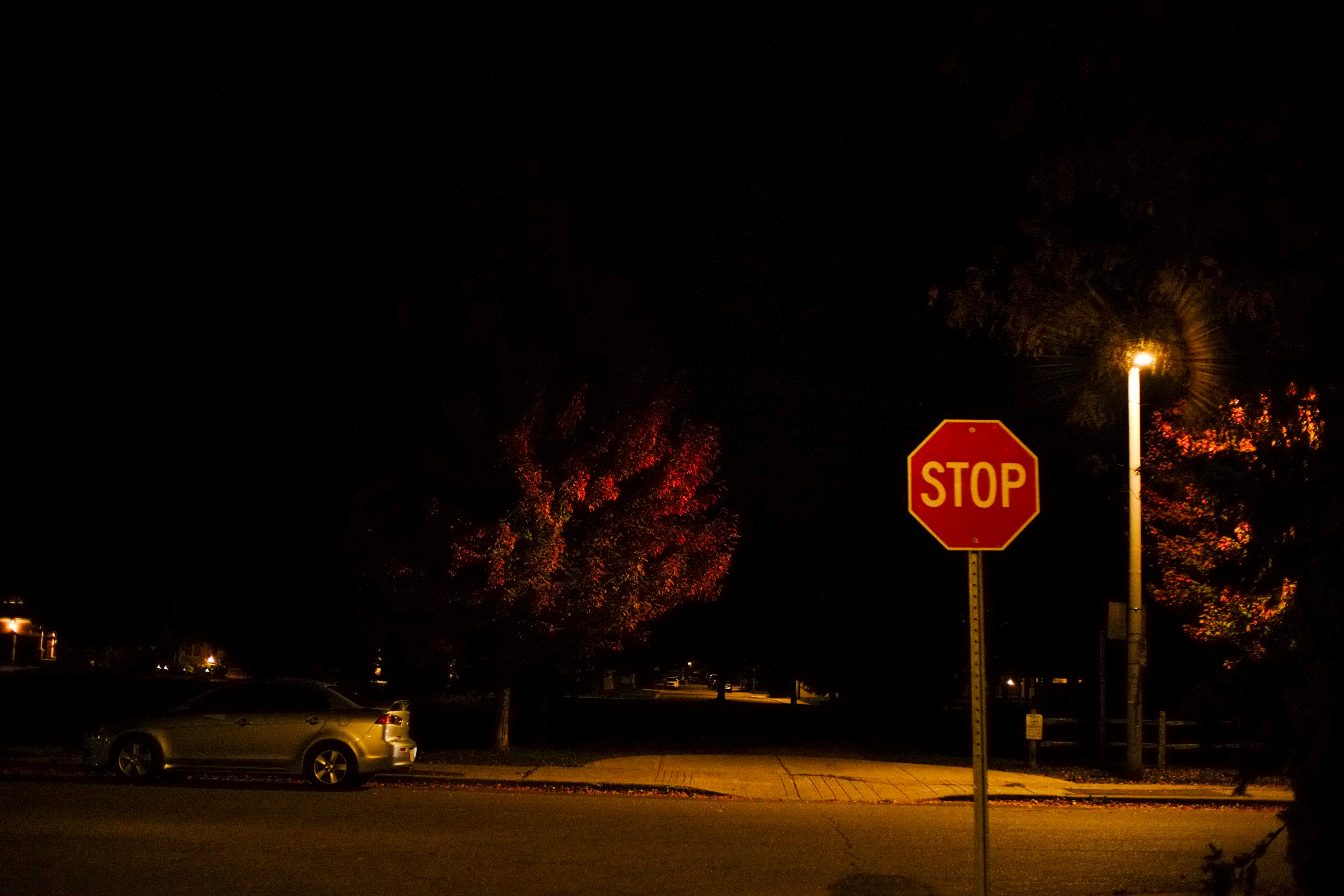 Silent Vigil of the Night