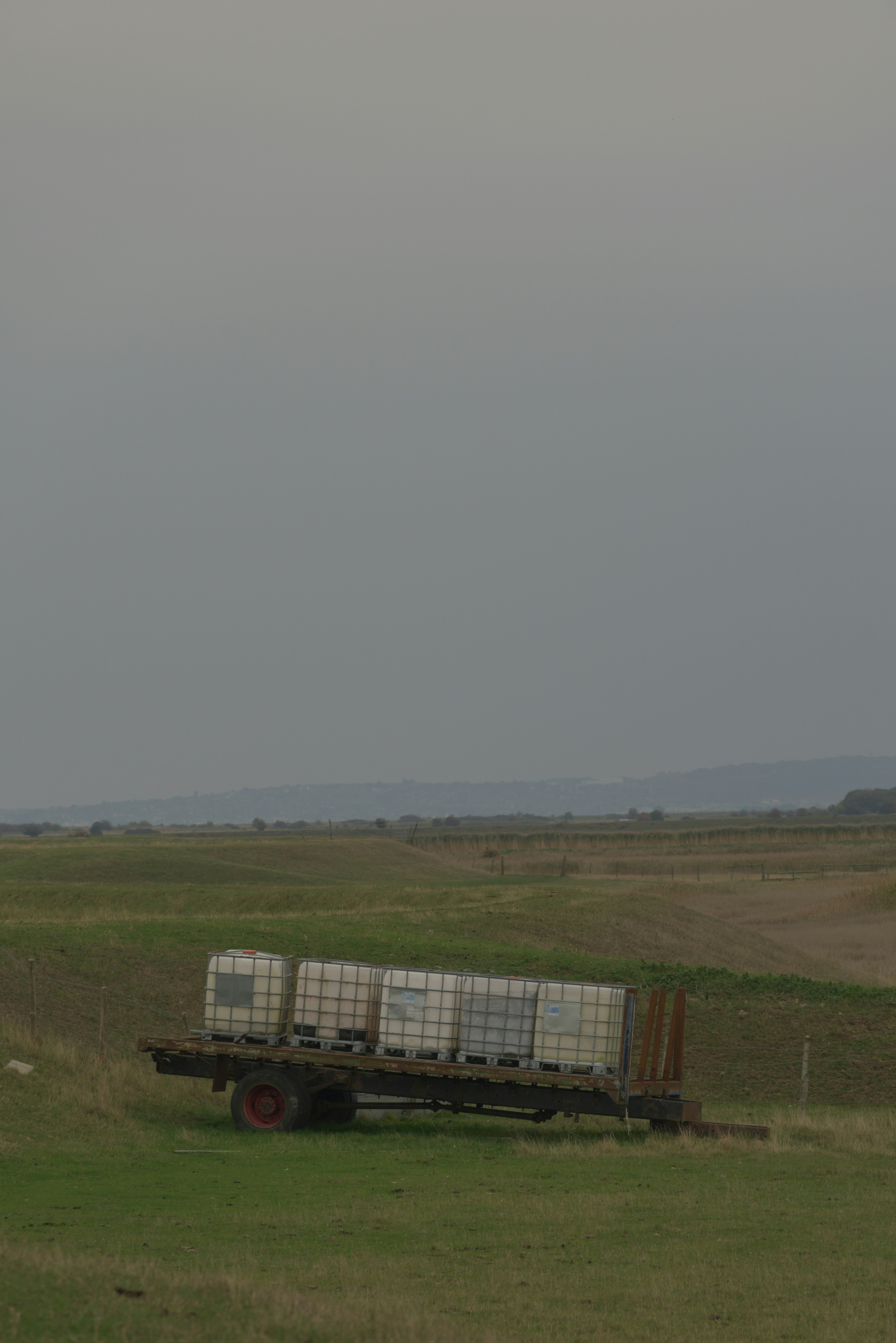 Silent Sentinels of the Pastoral Landscape