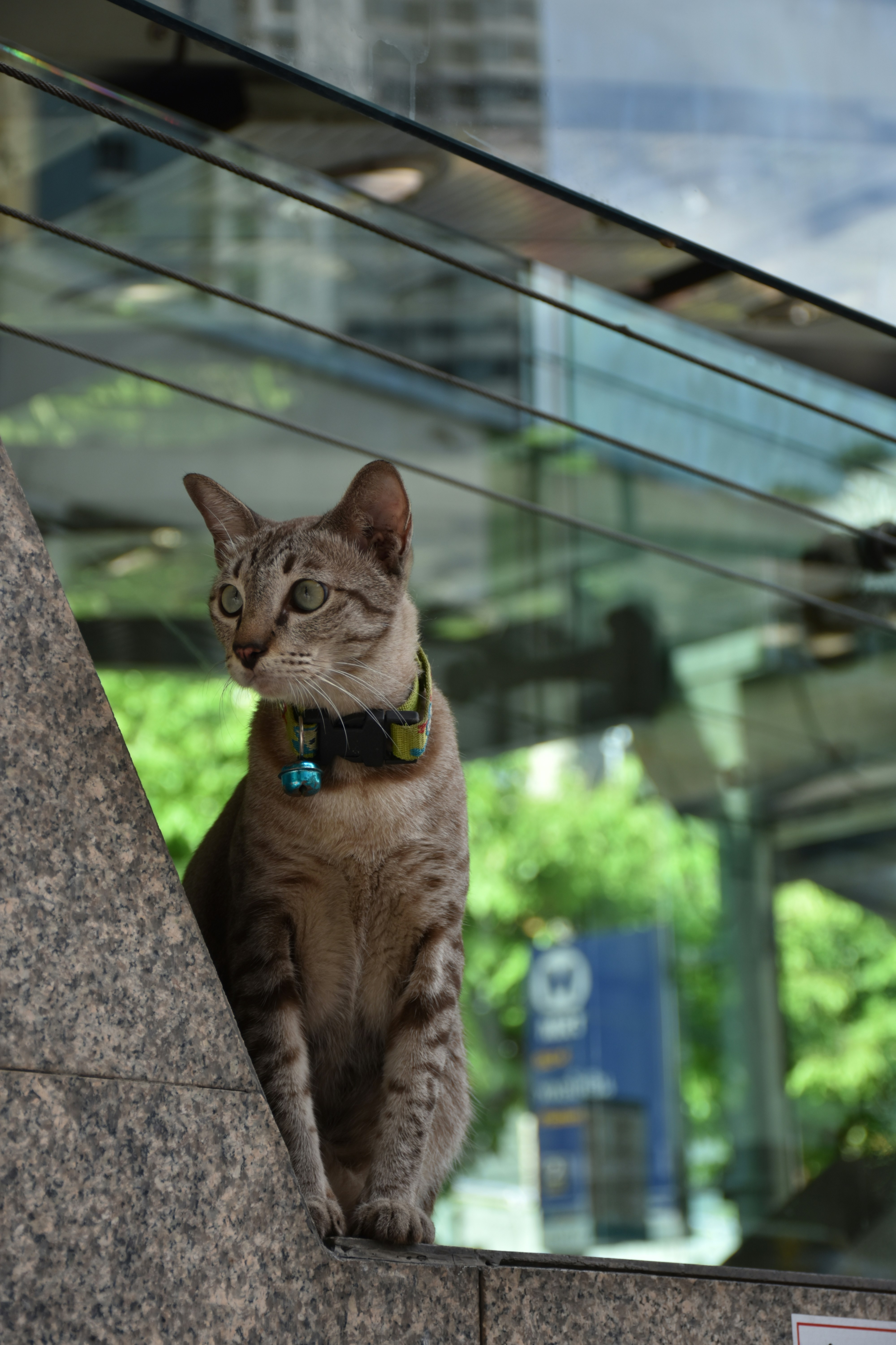 Photo by Prasopchok with Nikon D7200