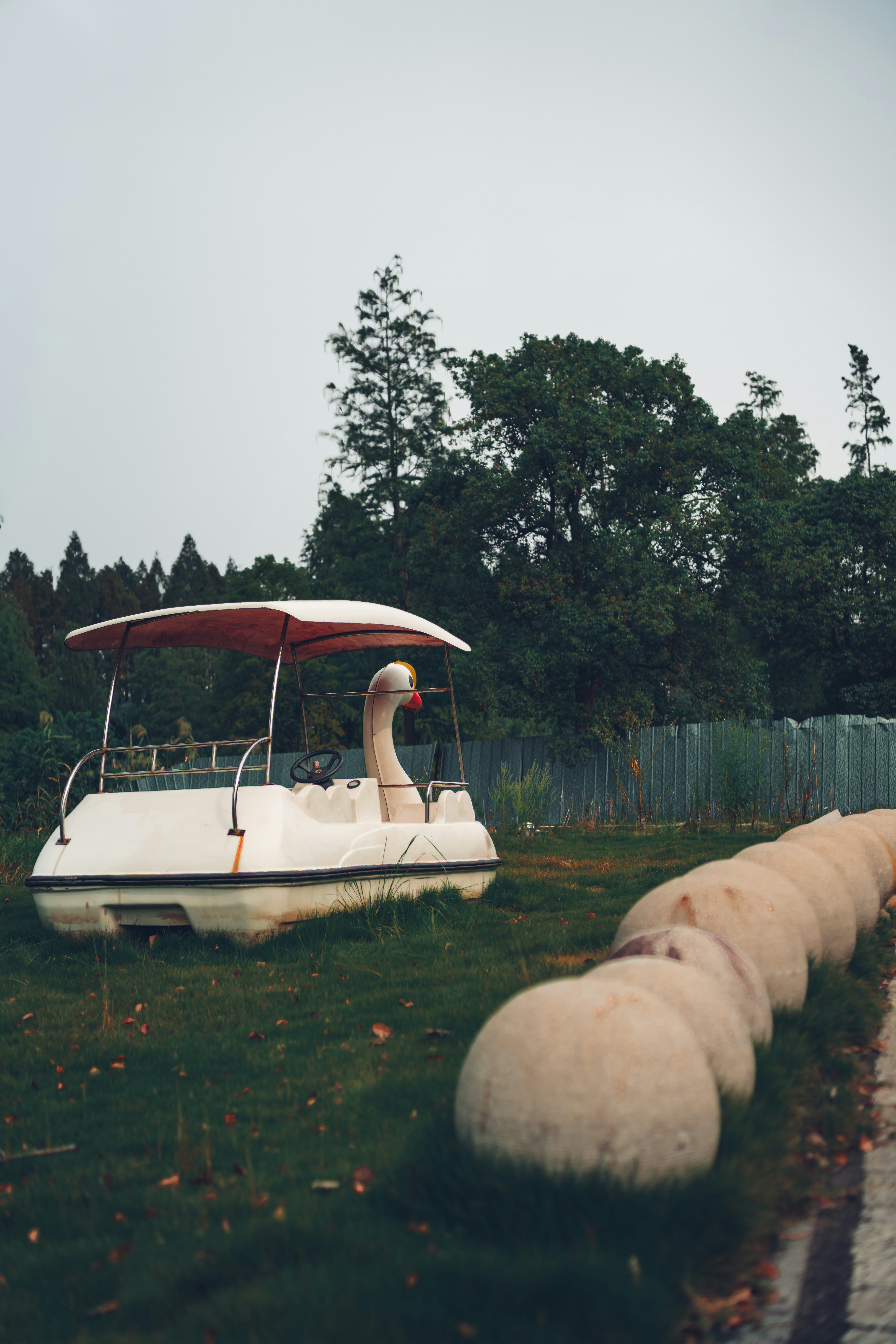 Whimsical Waters: A Swan's Resting Place