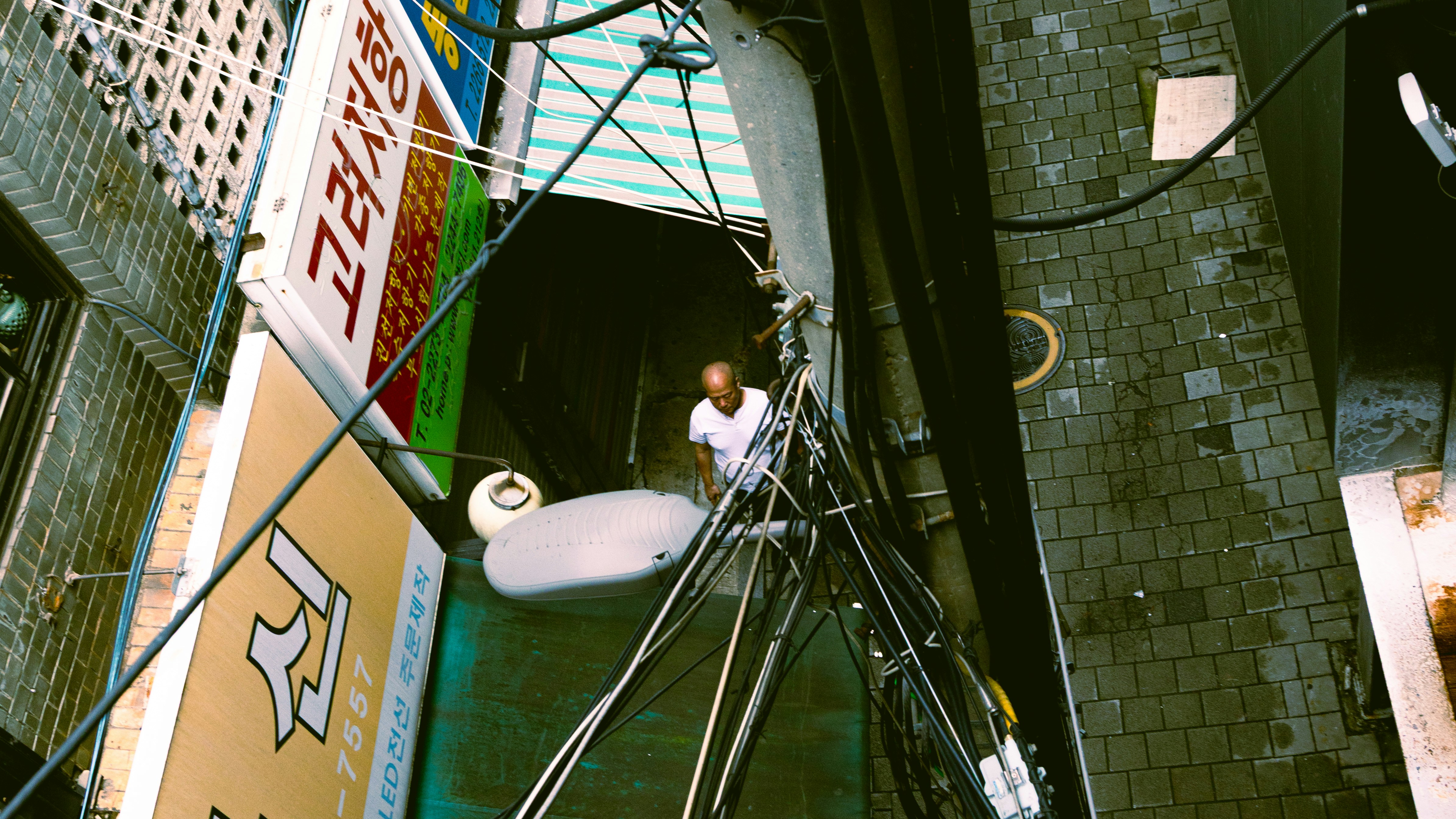 Urban Veins: A Glimpse into City Life