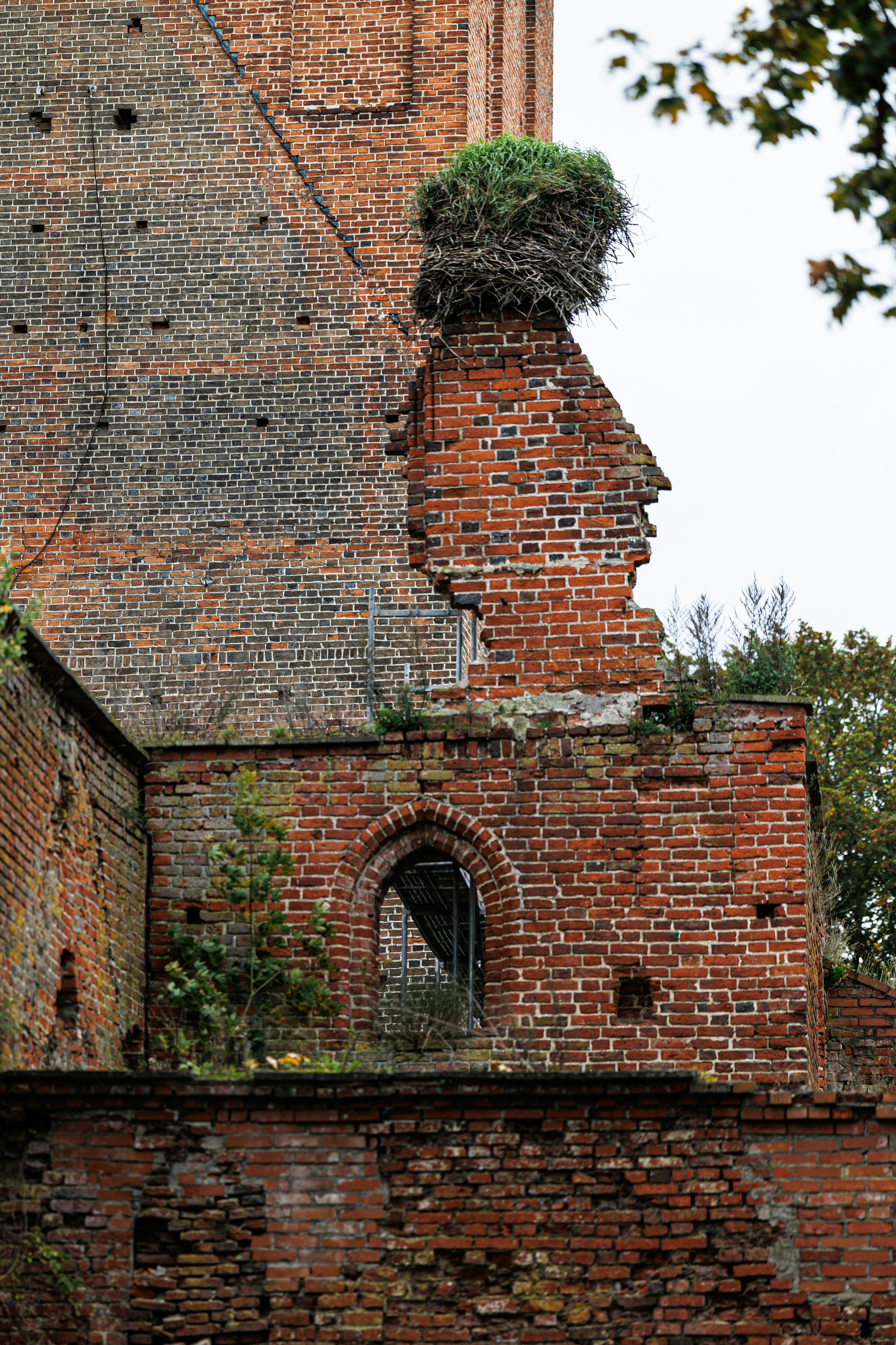 Ruined brick building with a large bird's nest photo – Free Gothic ...